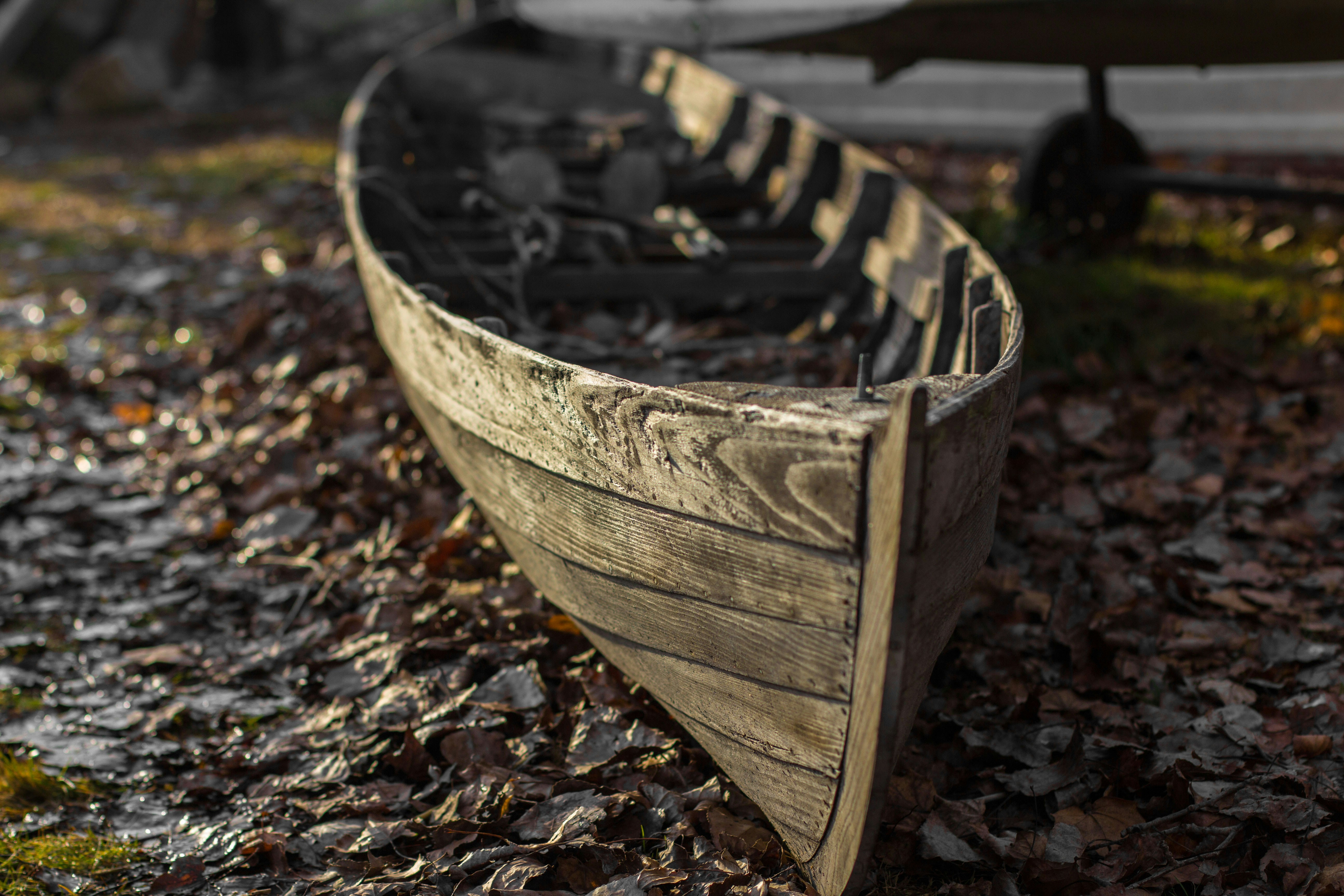 Weathered Rowboat Framed by Fall Leaves