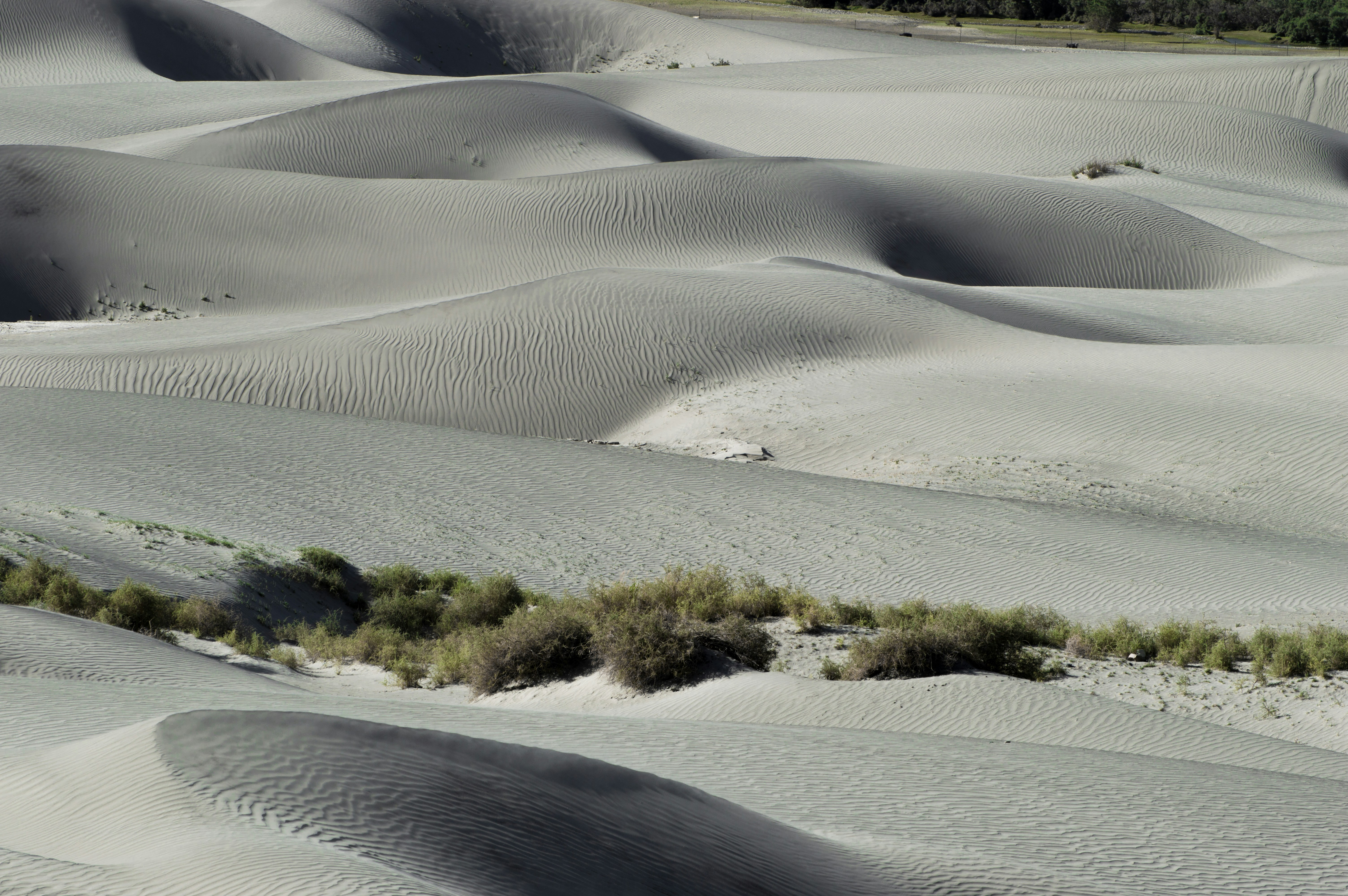 Whispers of the Dunes: A Textured Landscape
