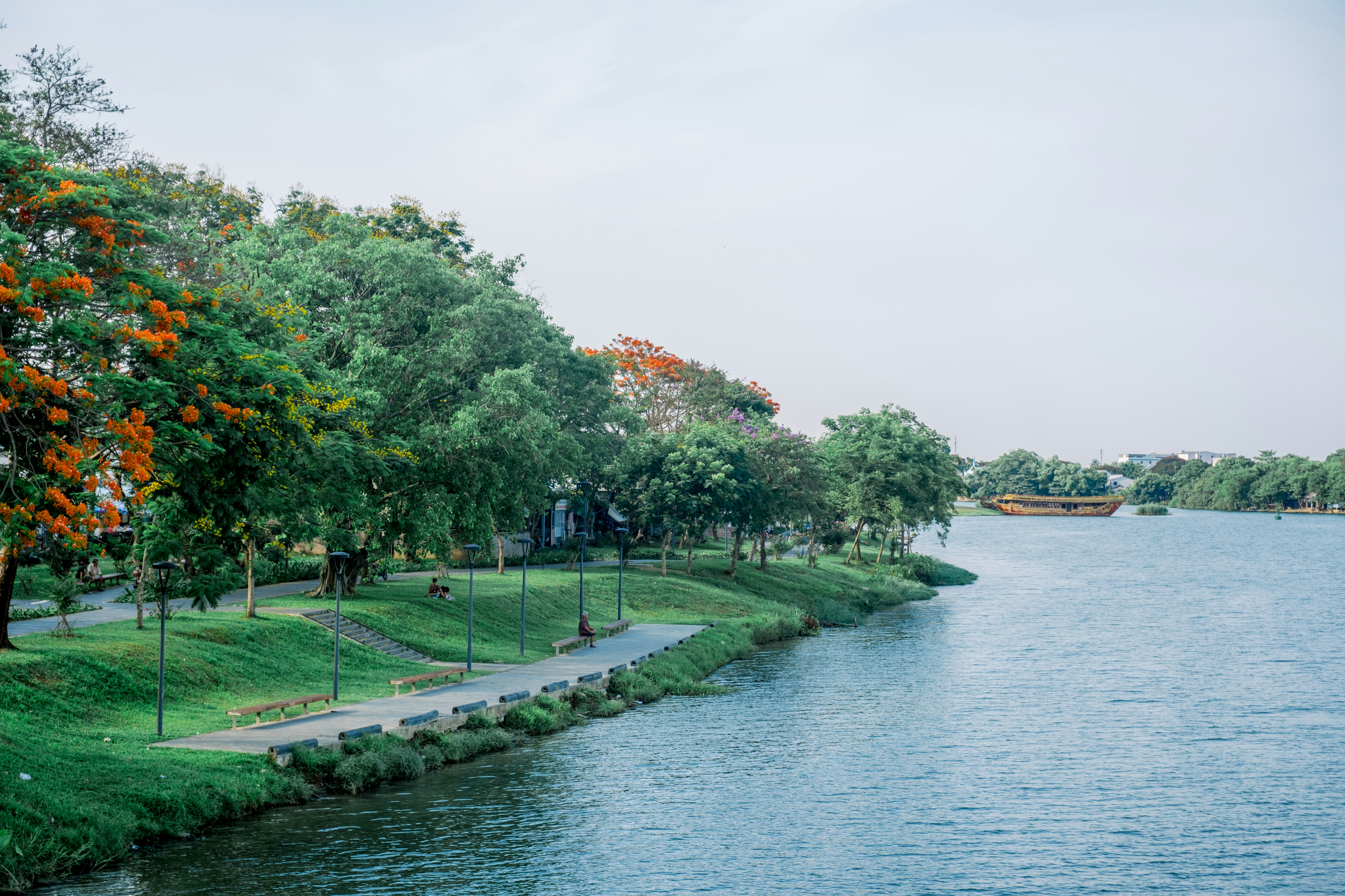 A serene riverside landscape with lush greenery. photo – Free Human ...