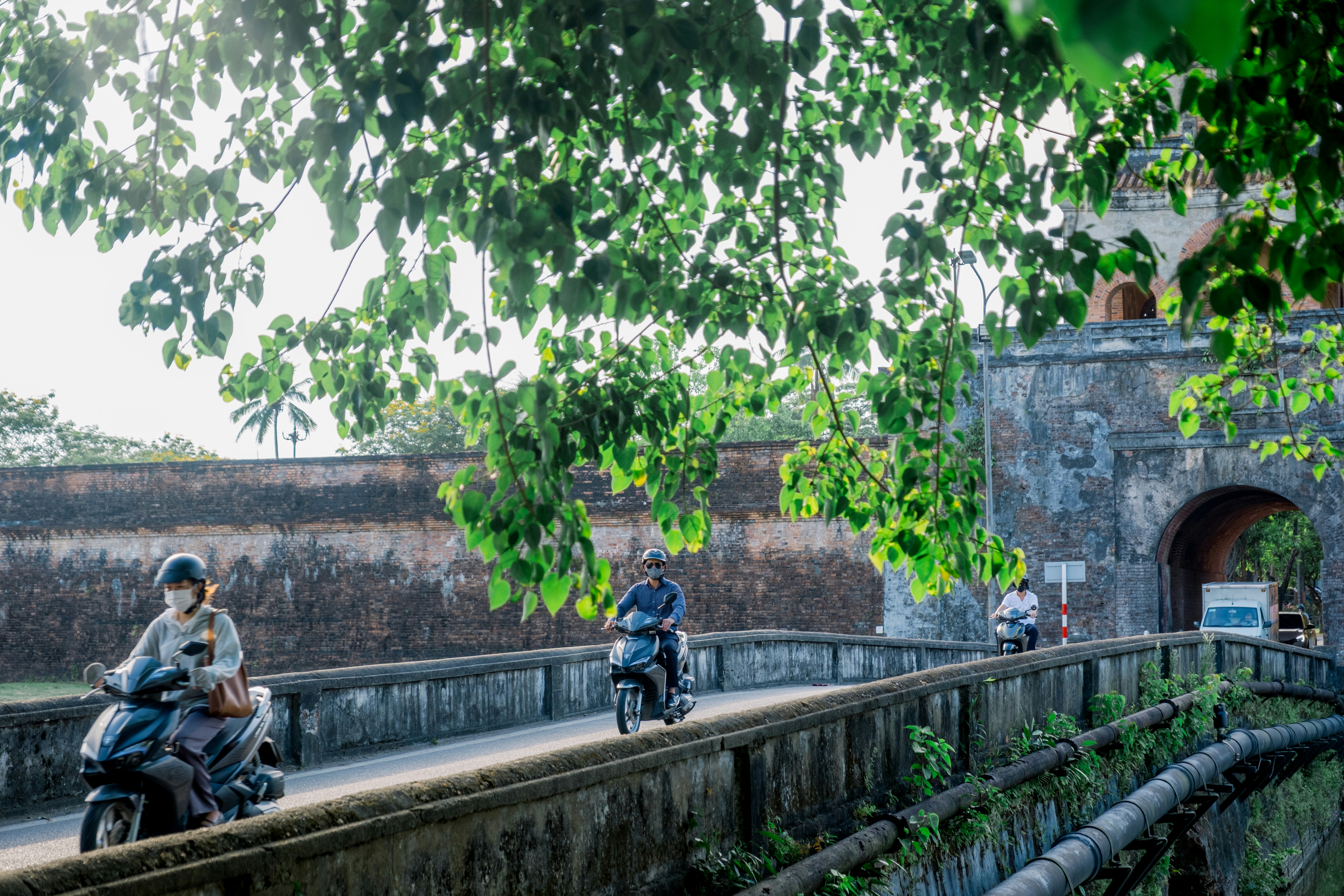 People ride scooters across a bridge under trees.