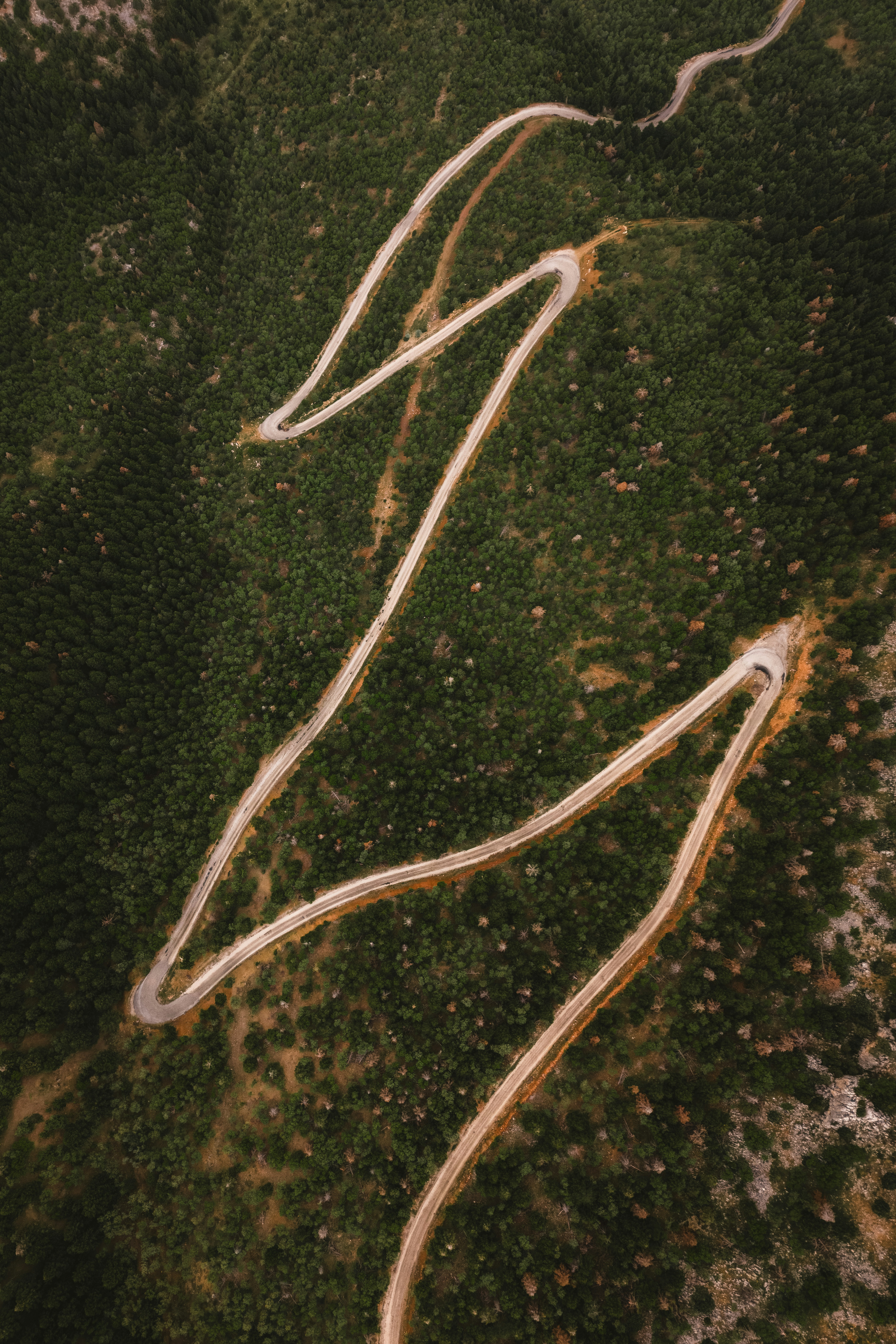 The Power of Static Typing in Programming | Best online blogs http://localhost:3000