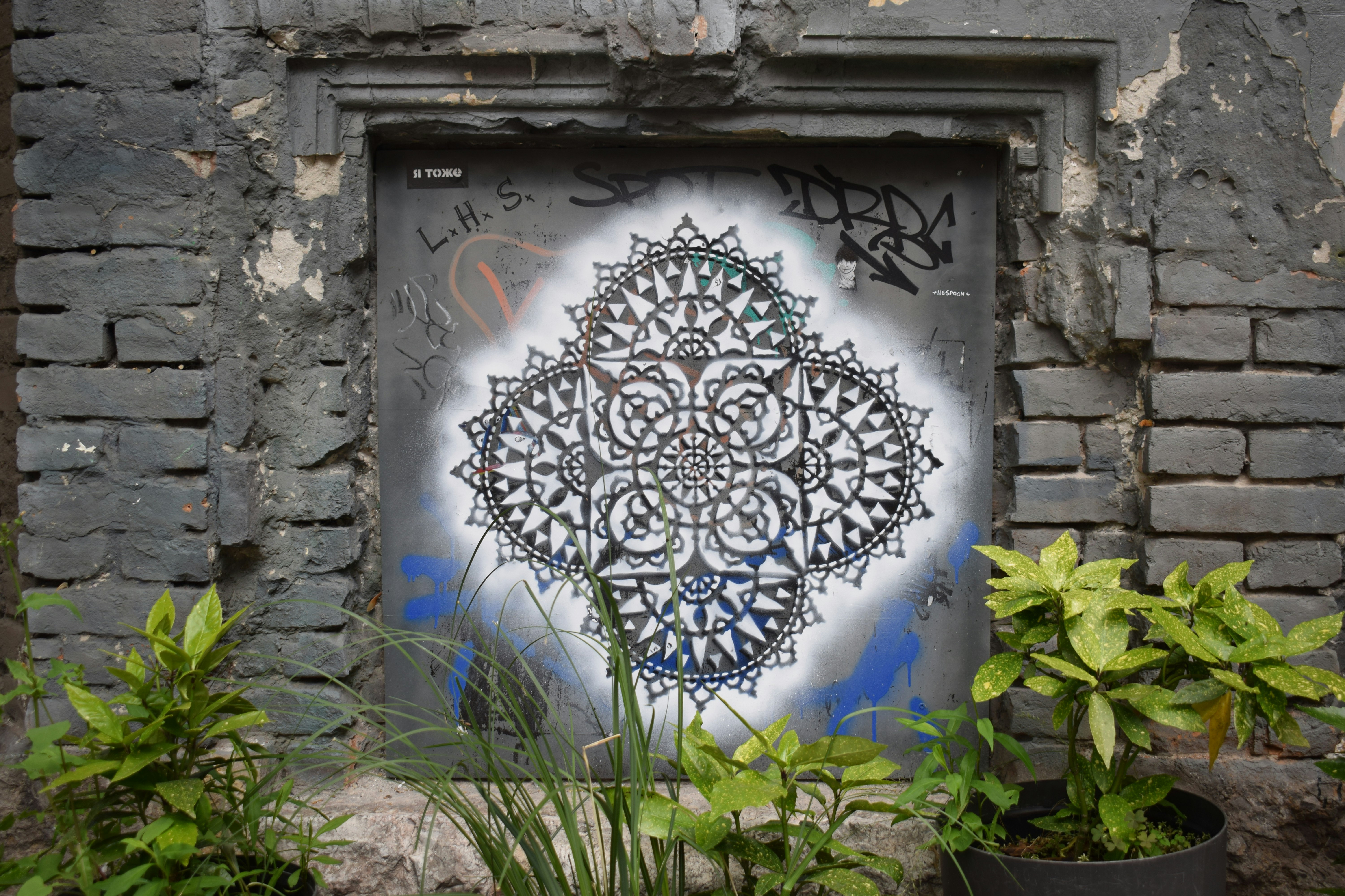Graffiti Mandala Framed by Urban Greenery