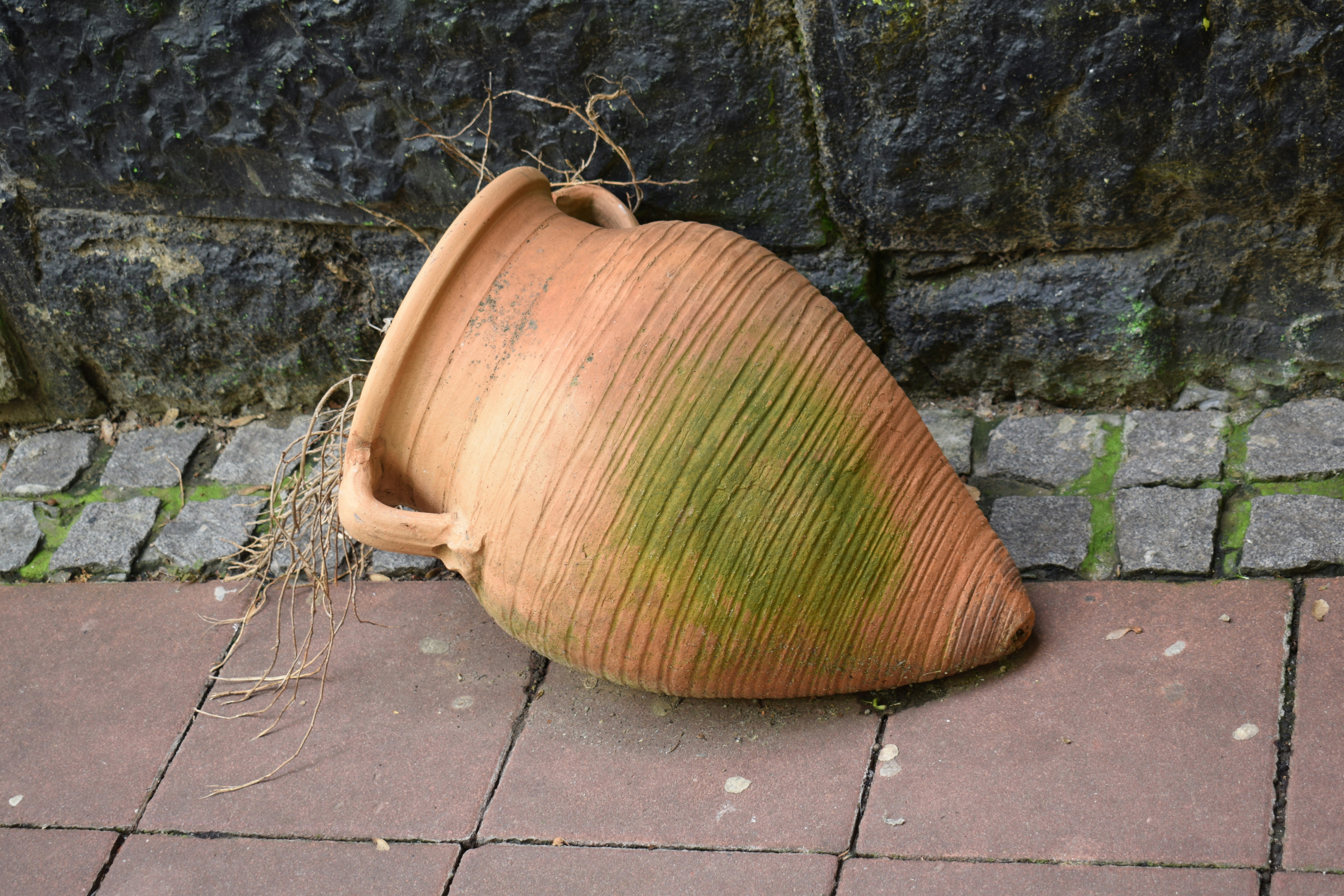 Whispers of Nature: The Tilted Terracotta