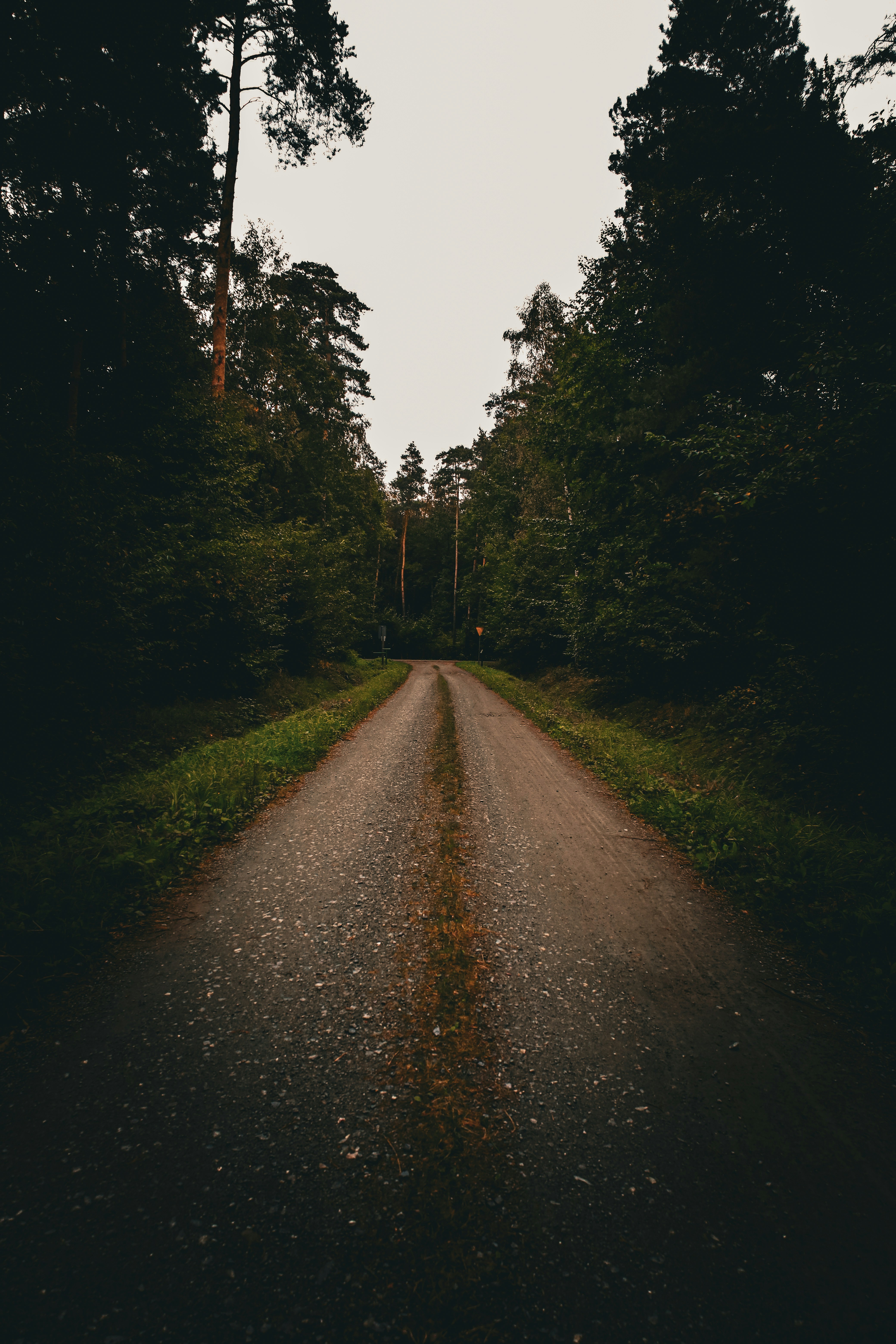 A path through the forest, leading to somewhere. photo – Free House ...