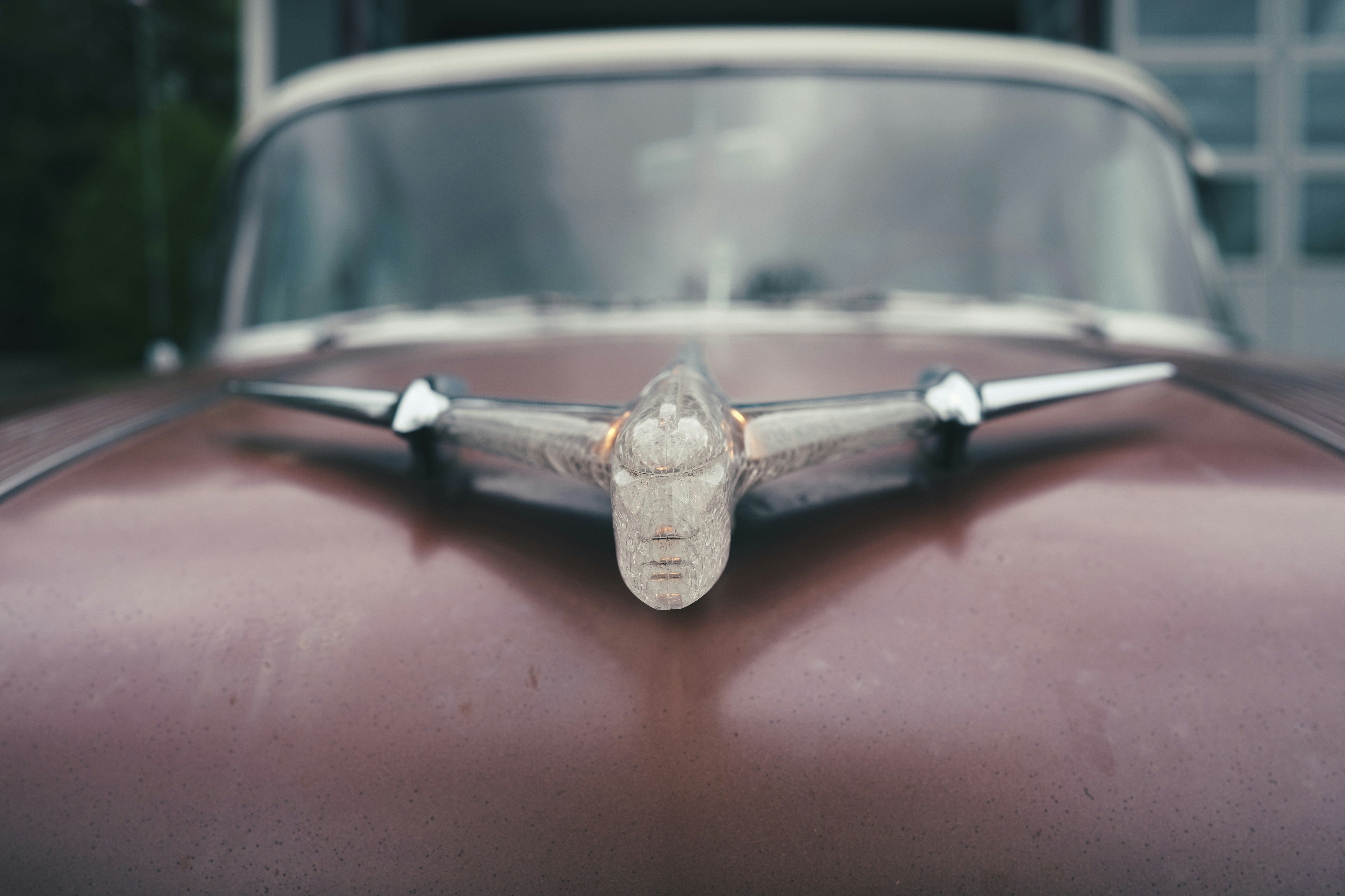 Chrome Hood's Quiet Moment: A Vintage Accent Under Soft Light