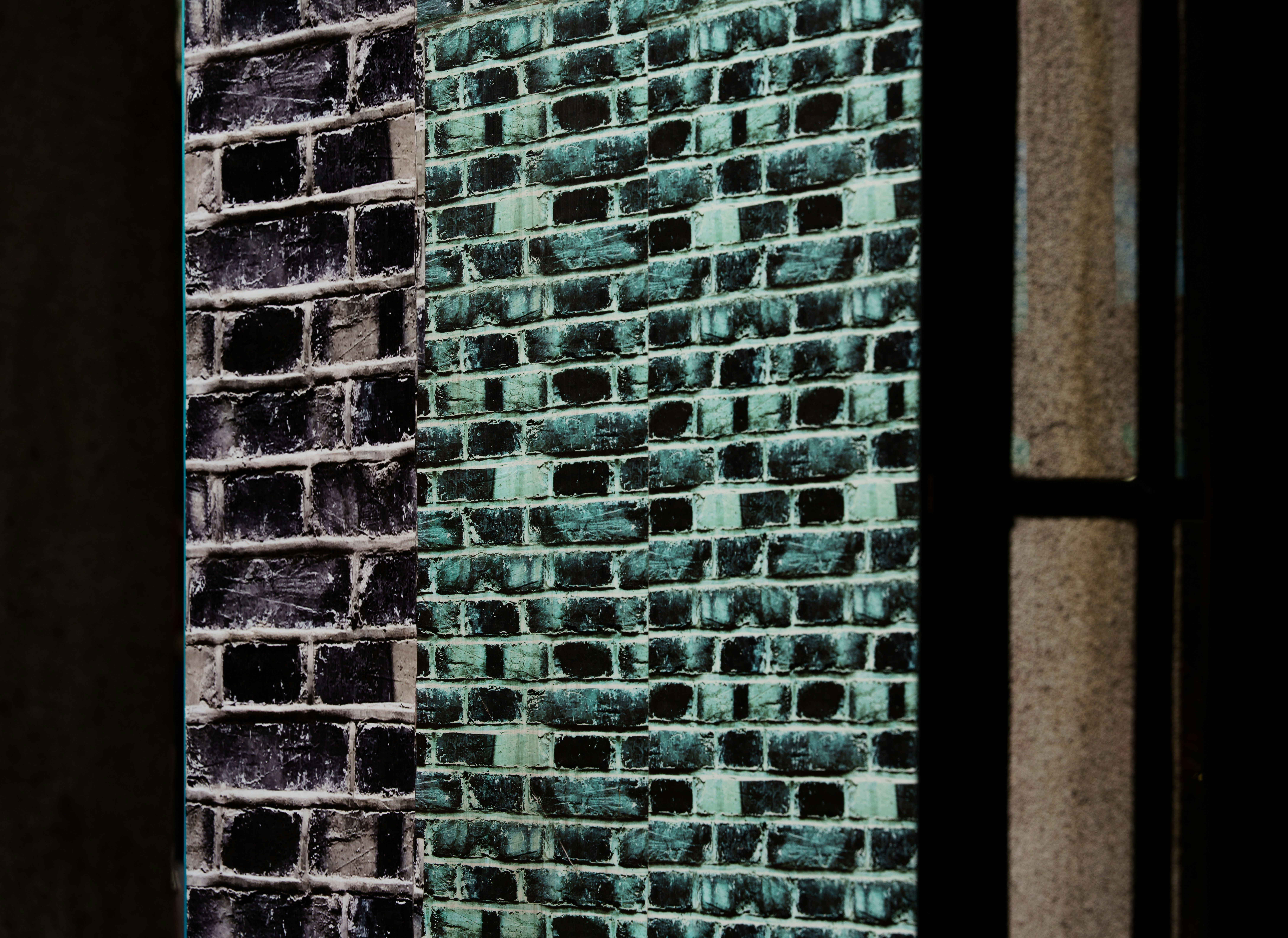 Photo by Declan Sun with Sony Alpha 7R V