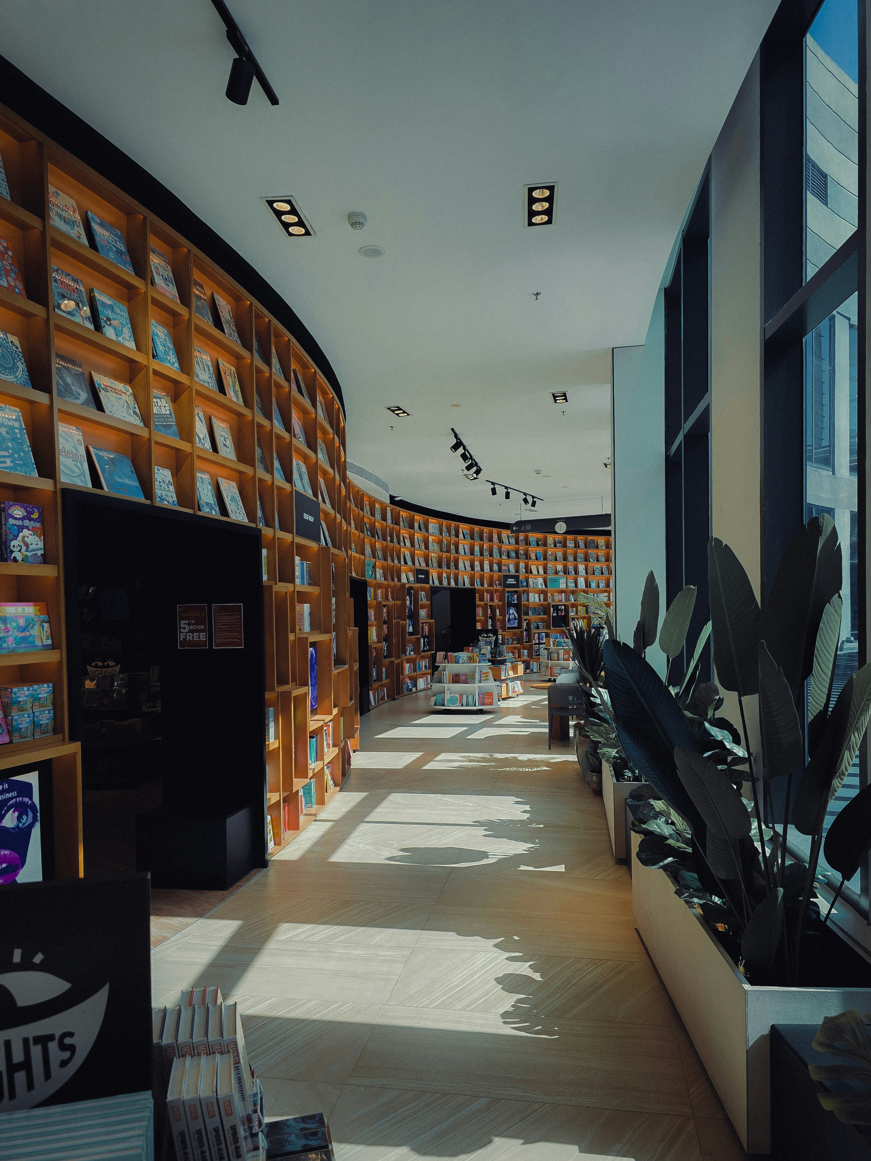 A bookshop aisle with shelves and sunlight. photo – Free Building Image ...