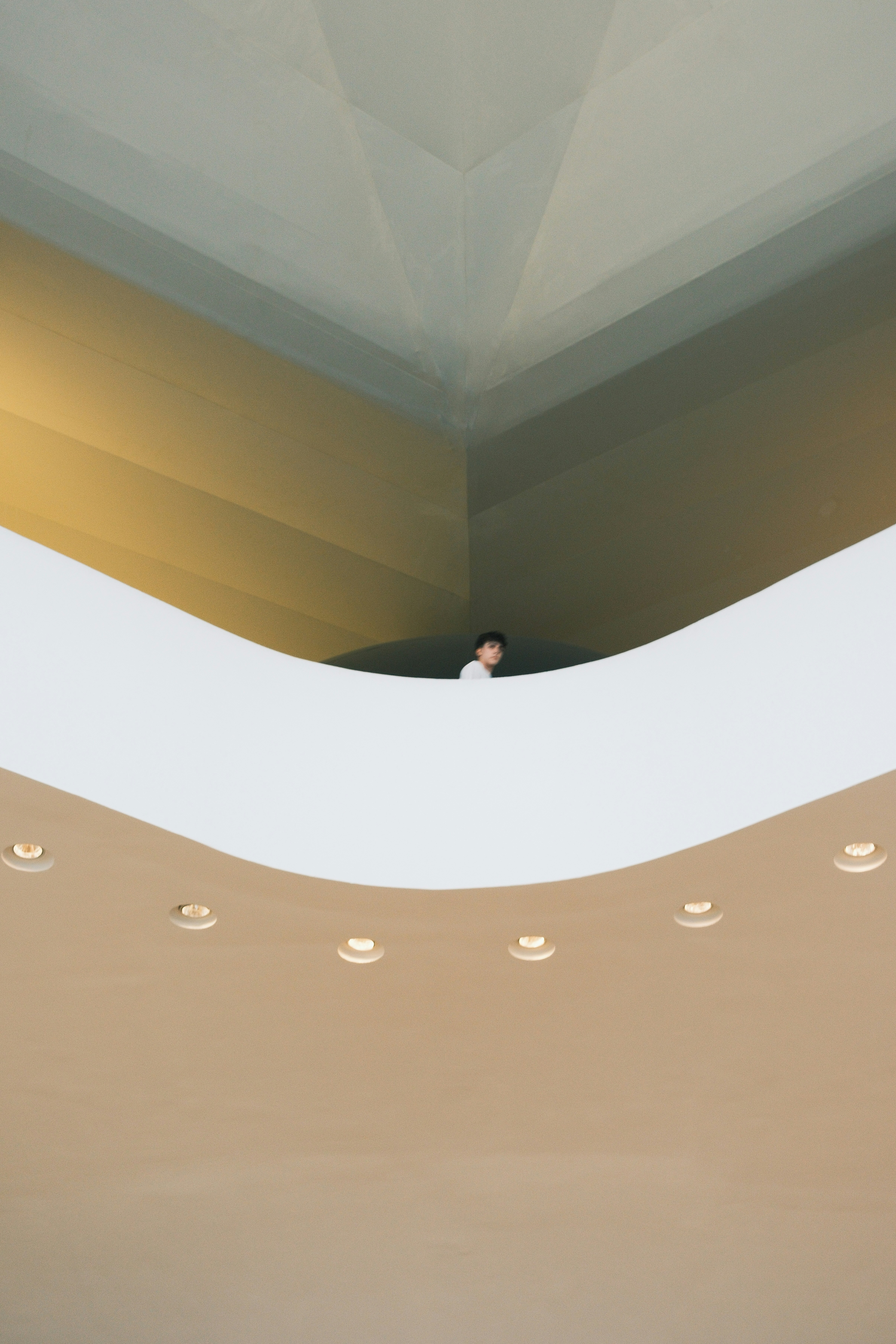 Architectural Harmony: A Study in Lines and Light
