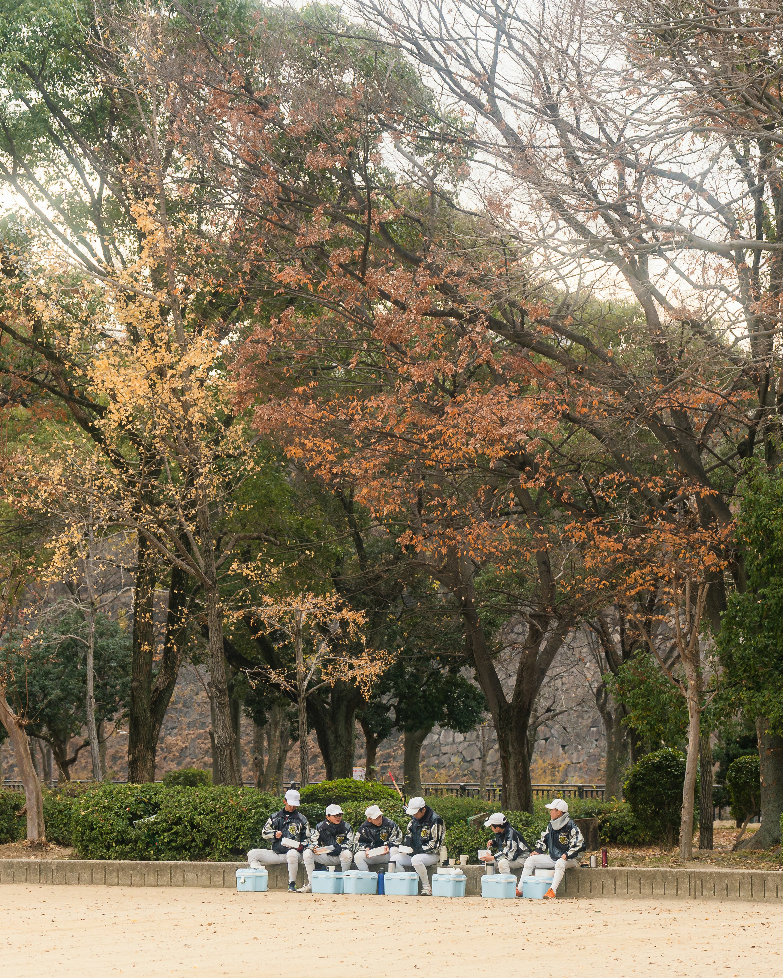 Autumn's Quiet Reflection: A Team's Moment of Preparation