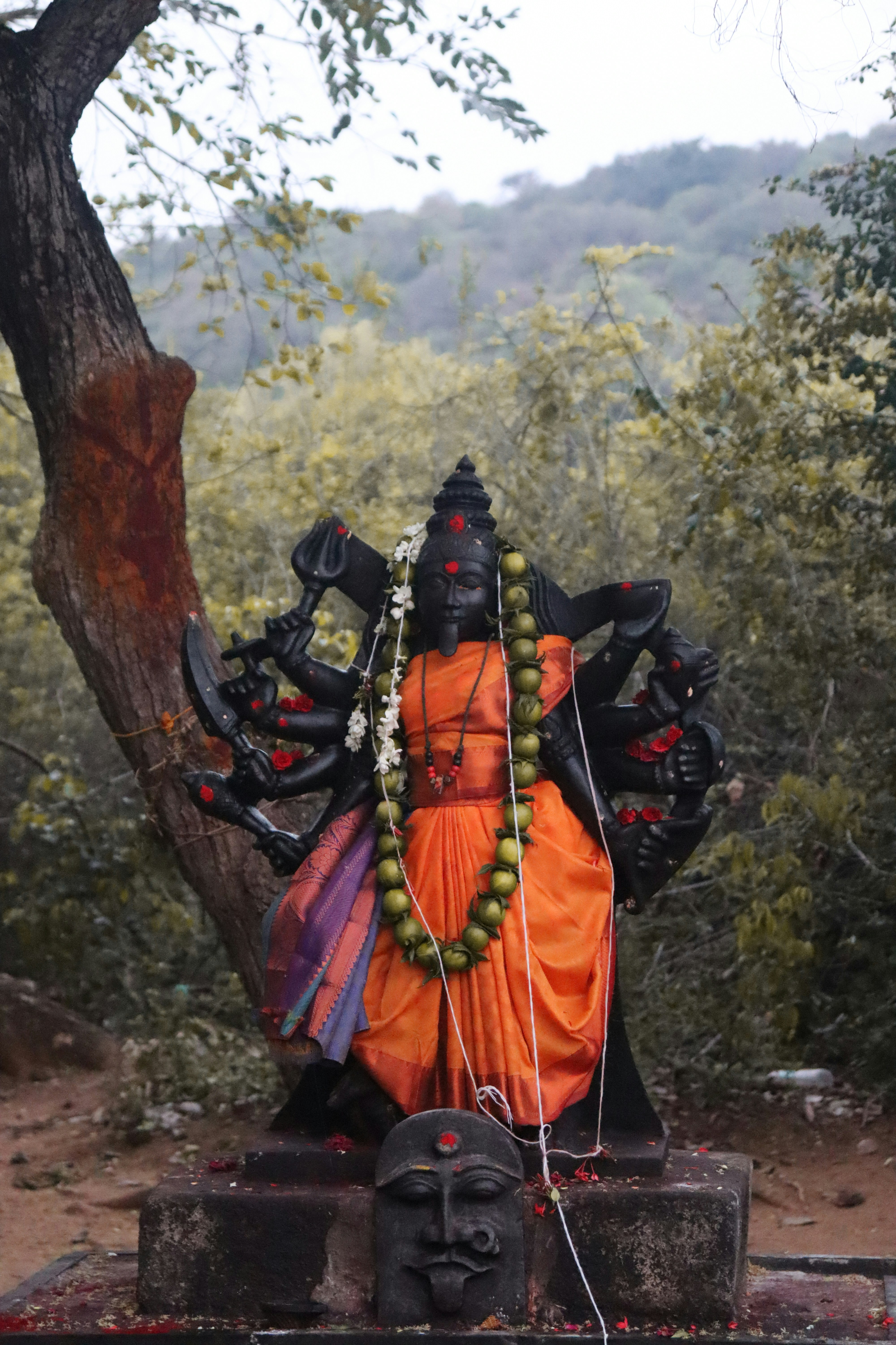 Black statue of a deity adorned with an orange robe and garlands, surrounded by lush greenery. The figure holds multiple arms with various symbolic objects.