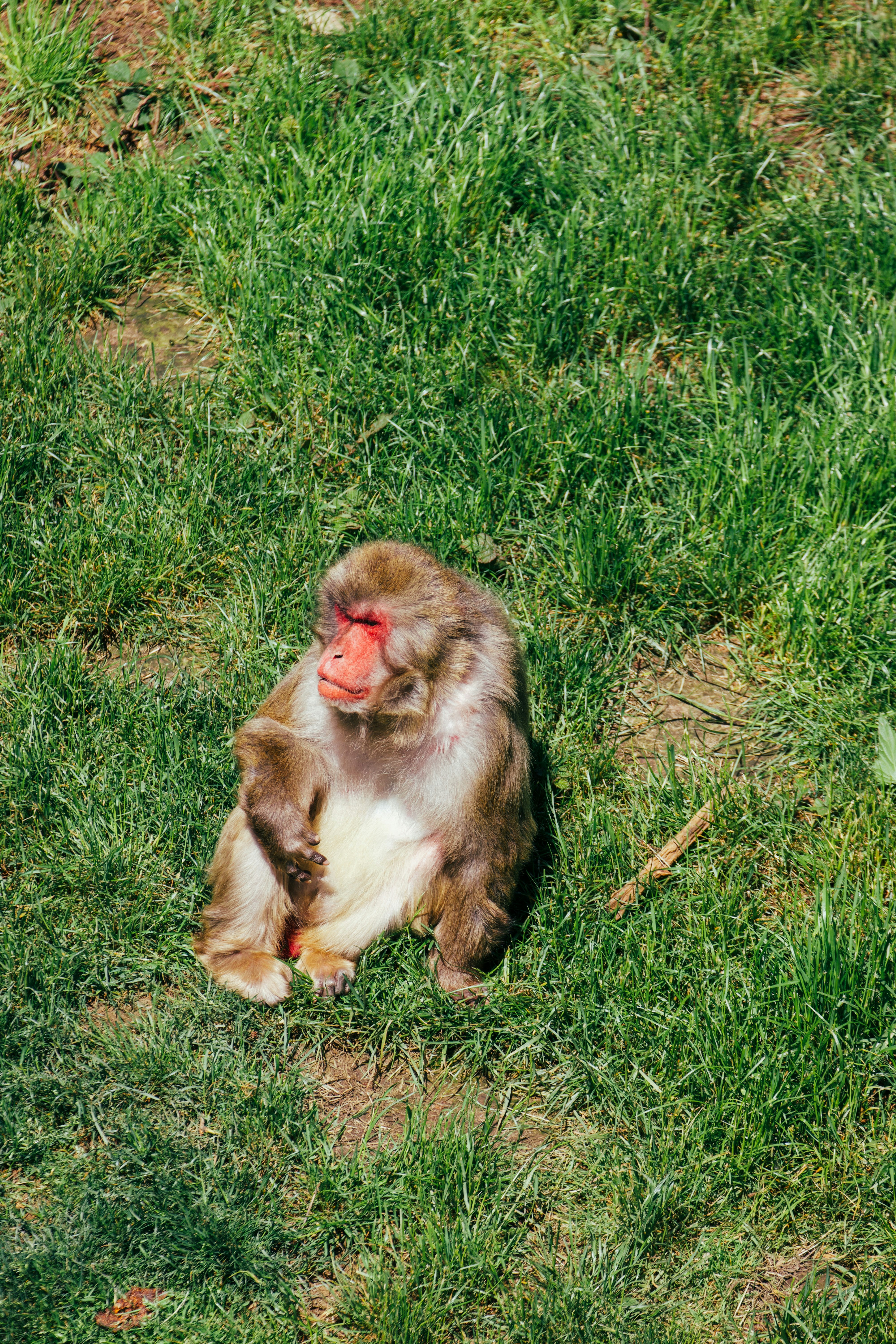 Photo by Jakub Neskora with Canon EOS 250D