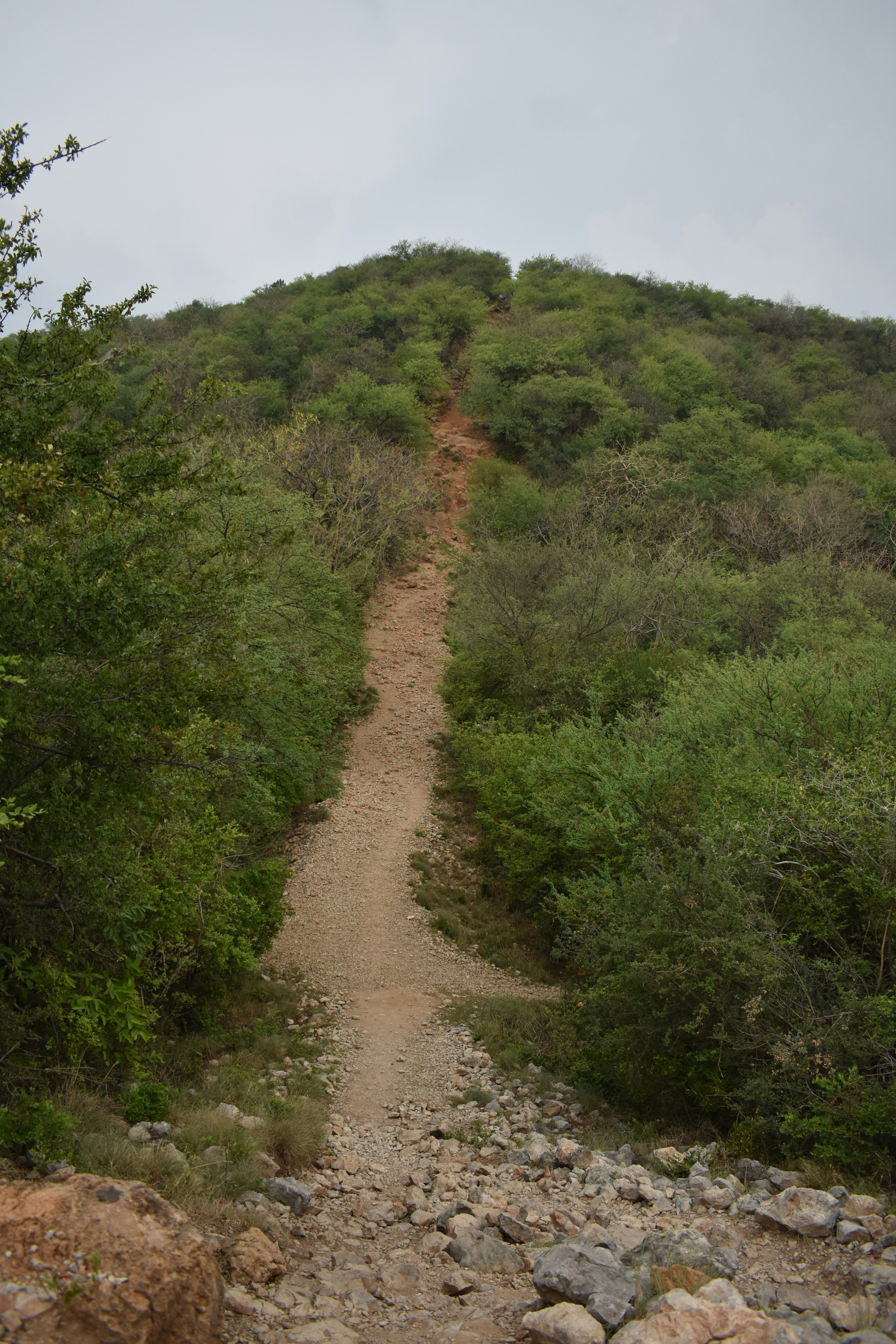 Photo by Waqar Mujahid with Nikon D3400