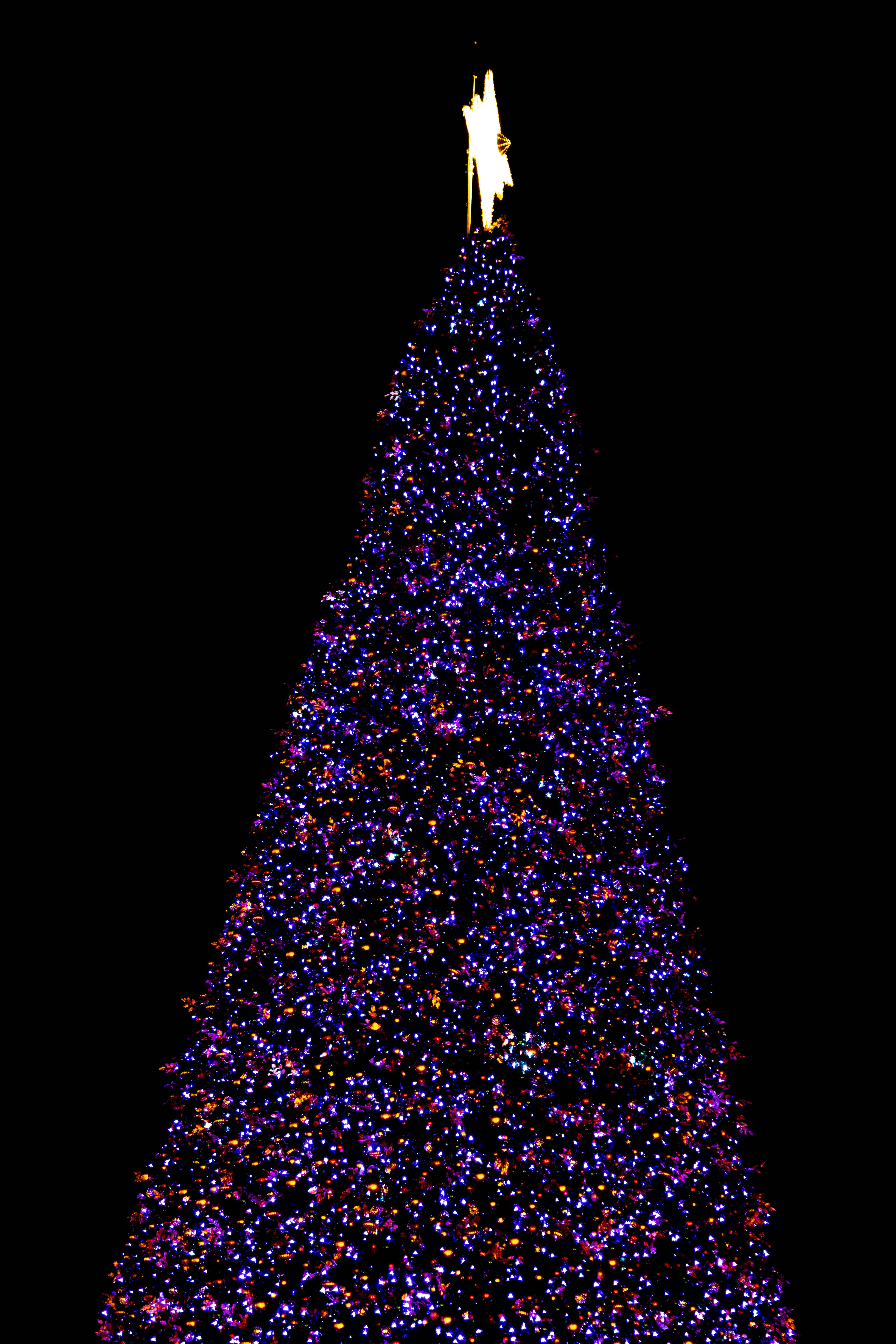 Celestial Illumination: A Holiday Beacon