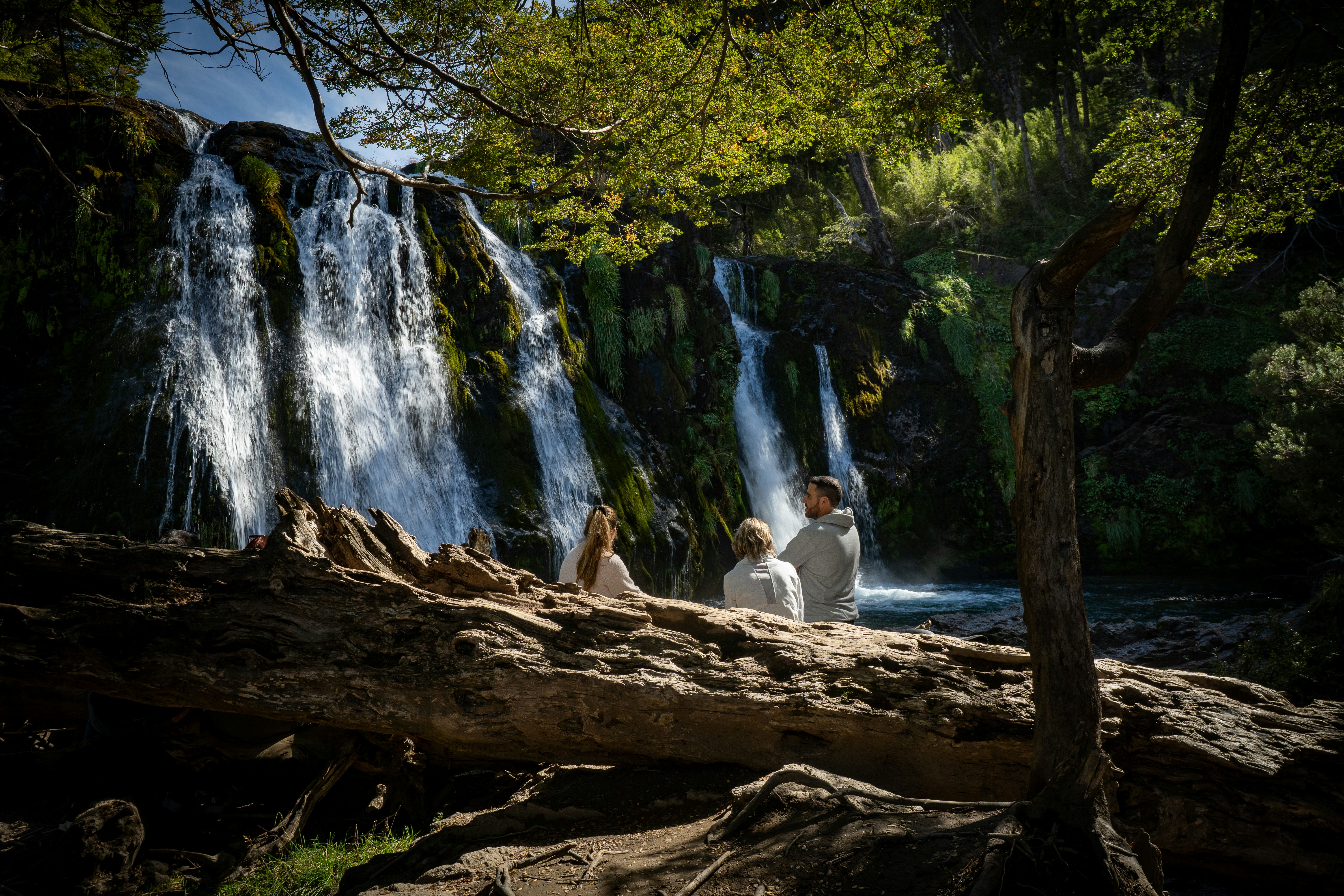Interlude by the Falls: Quiet Portrait beneath the forest canopy