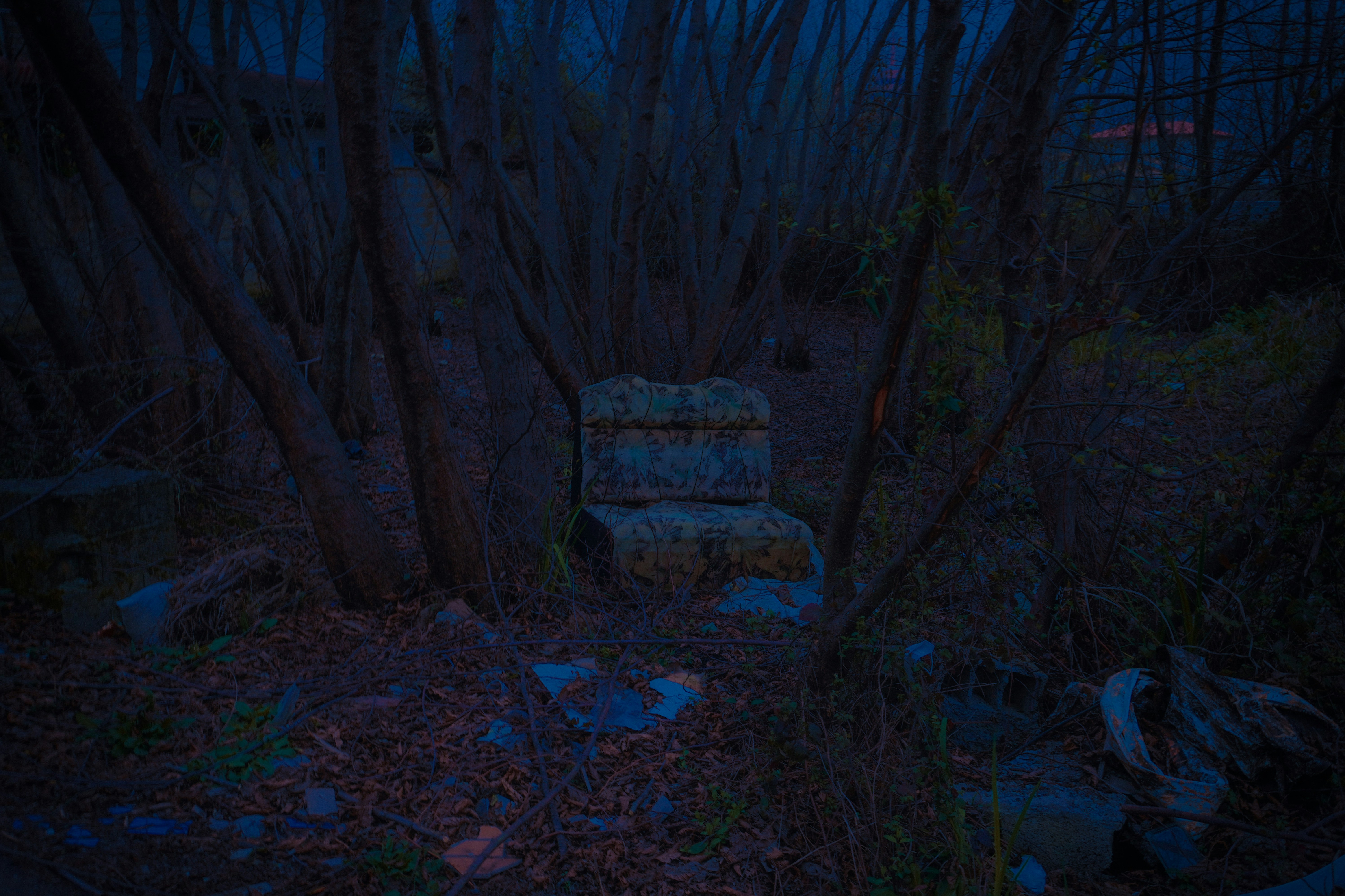 Whispers of the Forgotten