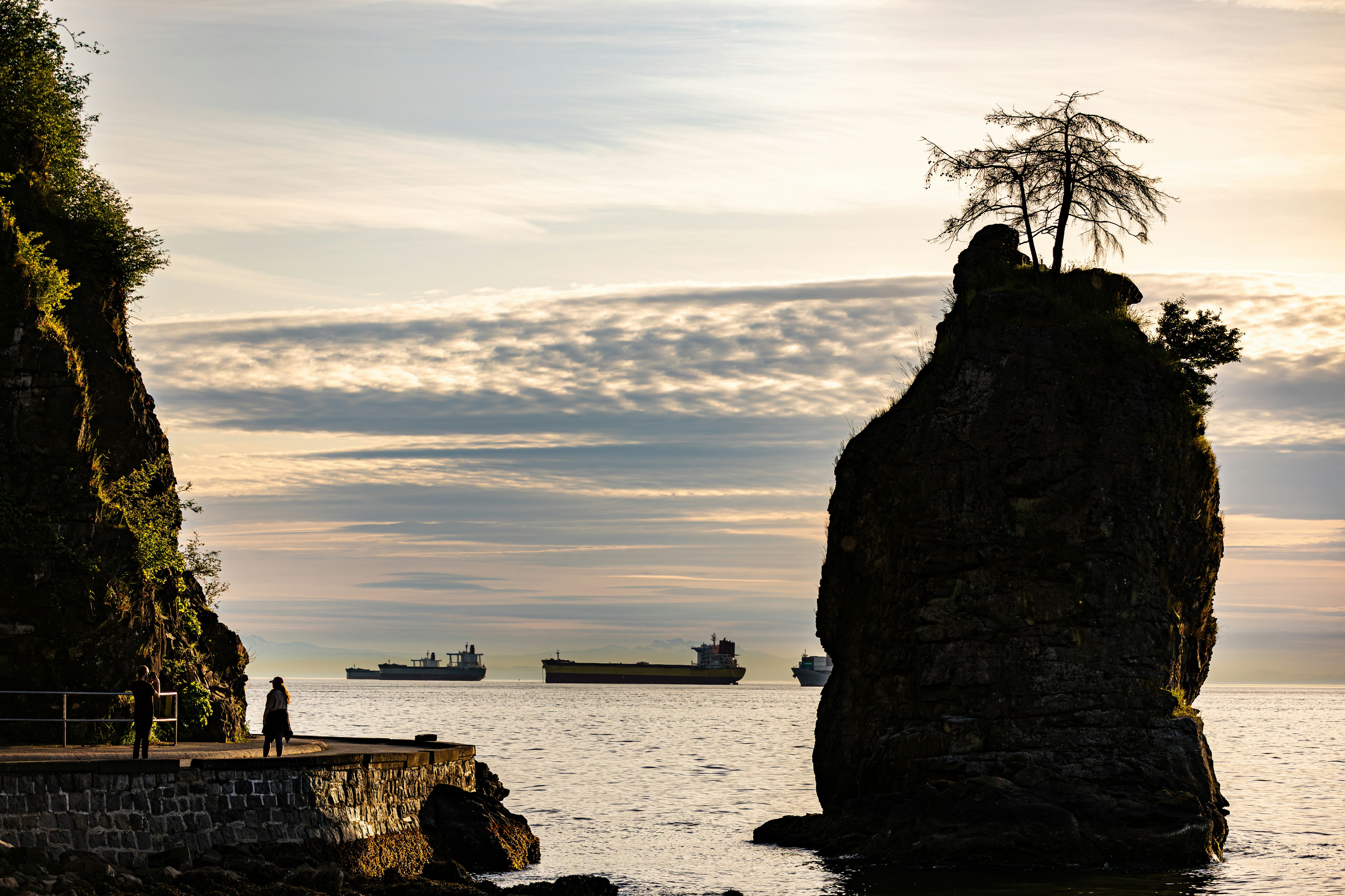 Sunset Sentinel: Lone Tree on a Sea Stack by the Harbor