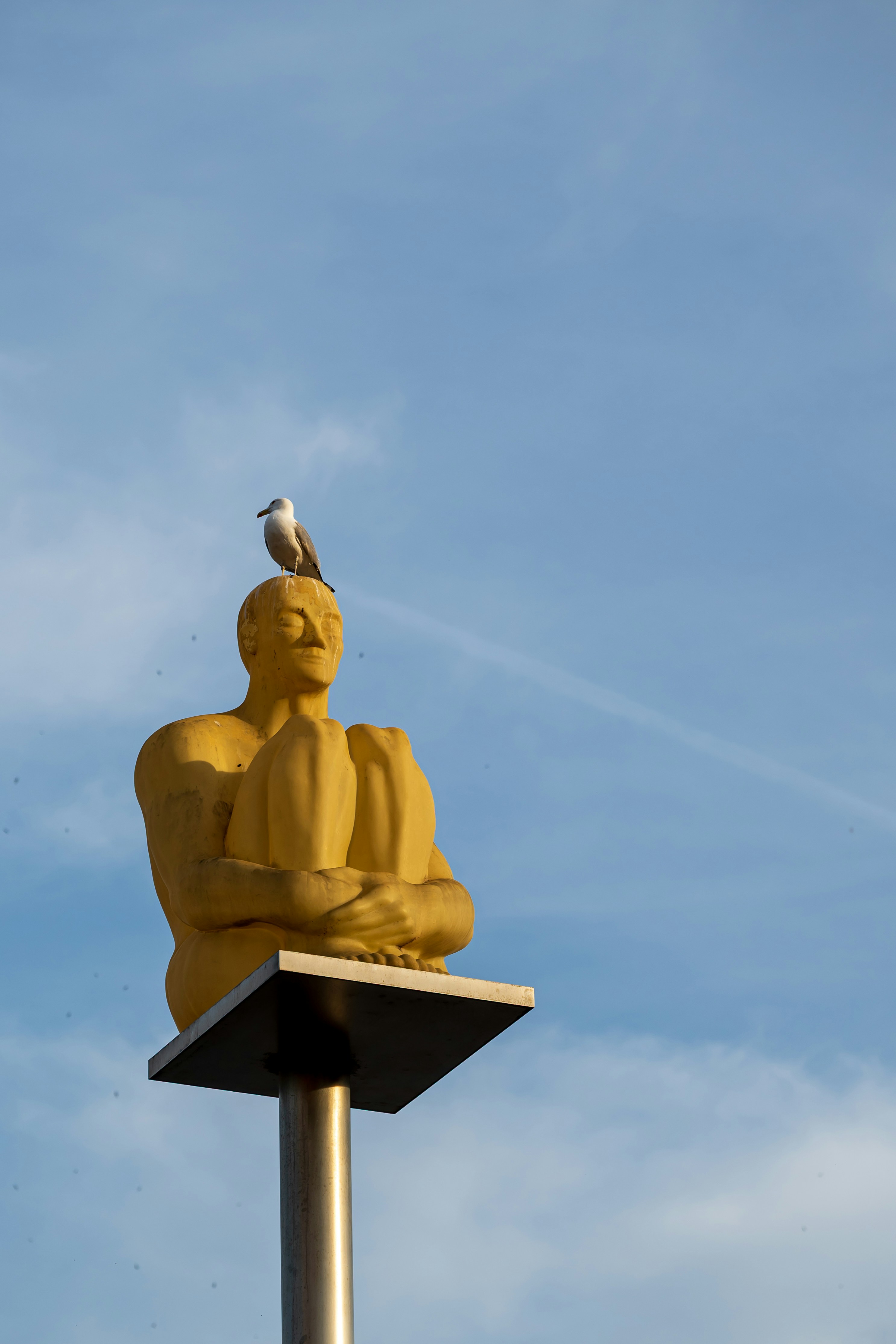 Seagull Sentinel on a Sun-Kissed Statue Against a Clear Sky