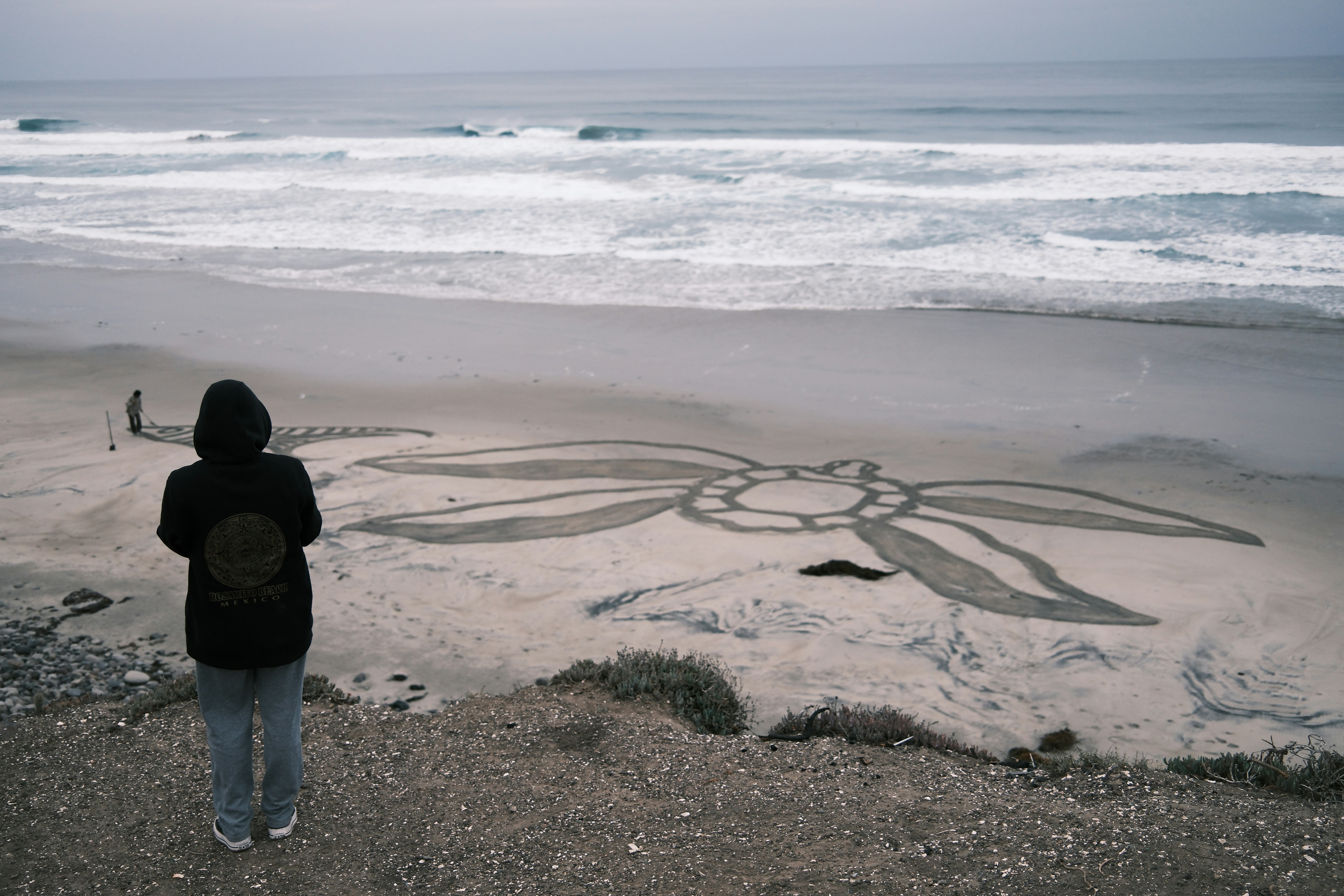 Nature's Canvas: The Art of Sand and Sea