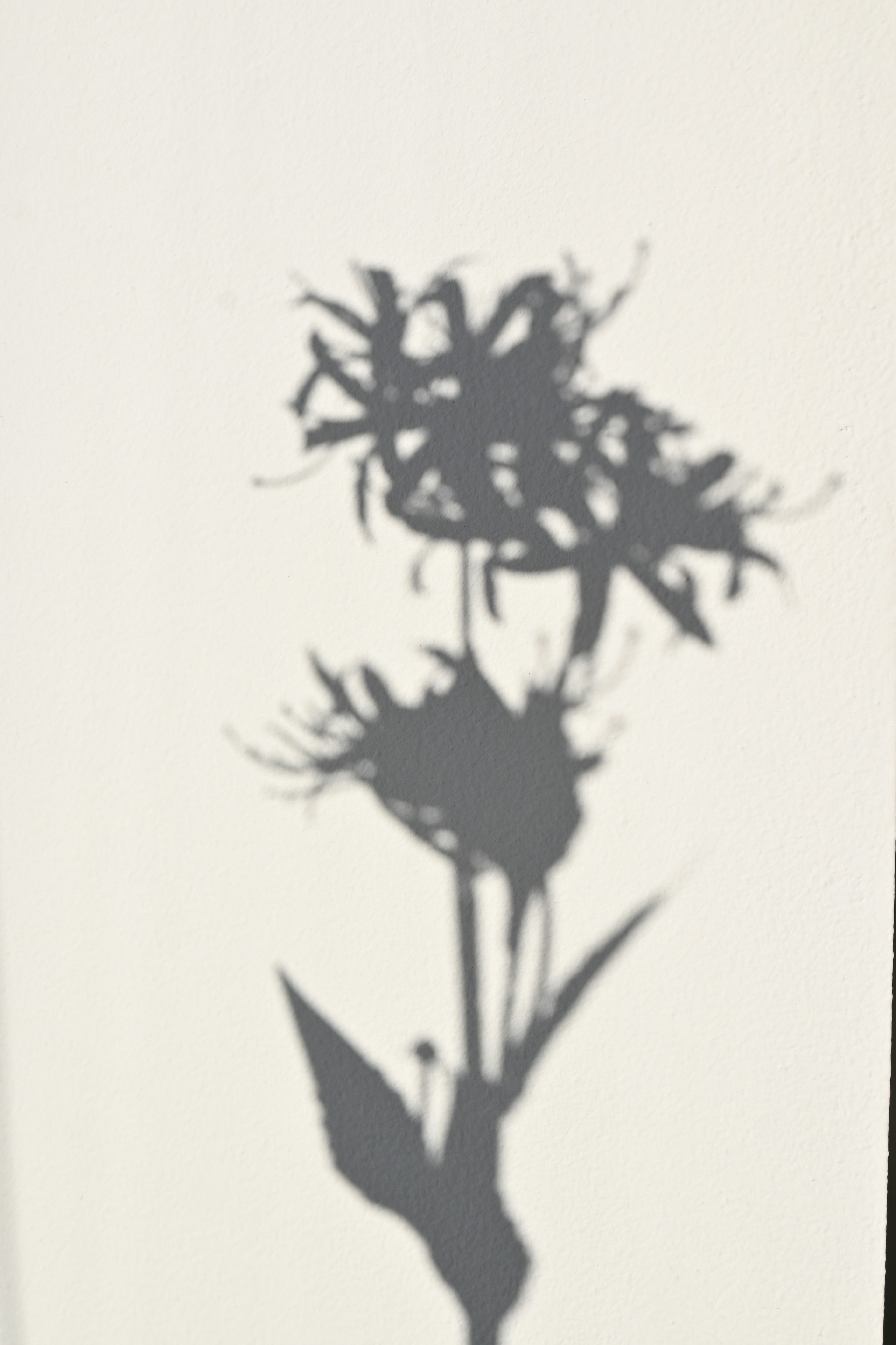 Photo by ling feng with Nikon Z50