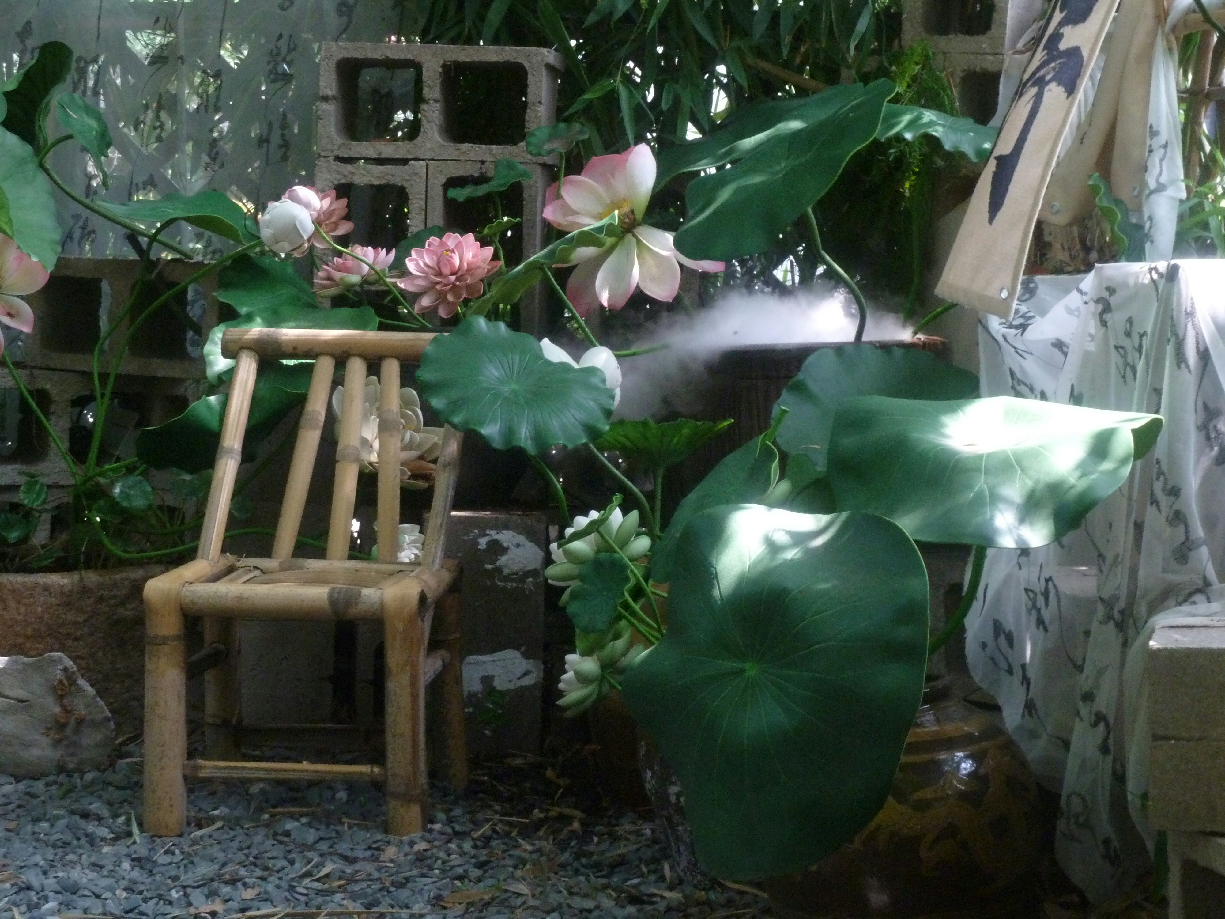 Photo by Yanhao Fang with Panasonic Lumix ZS7