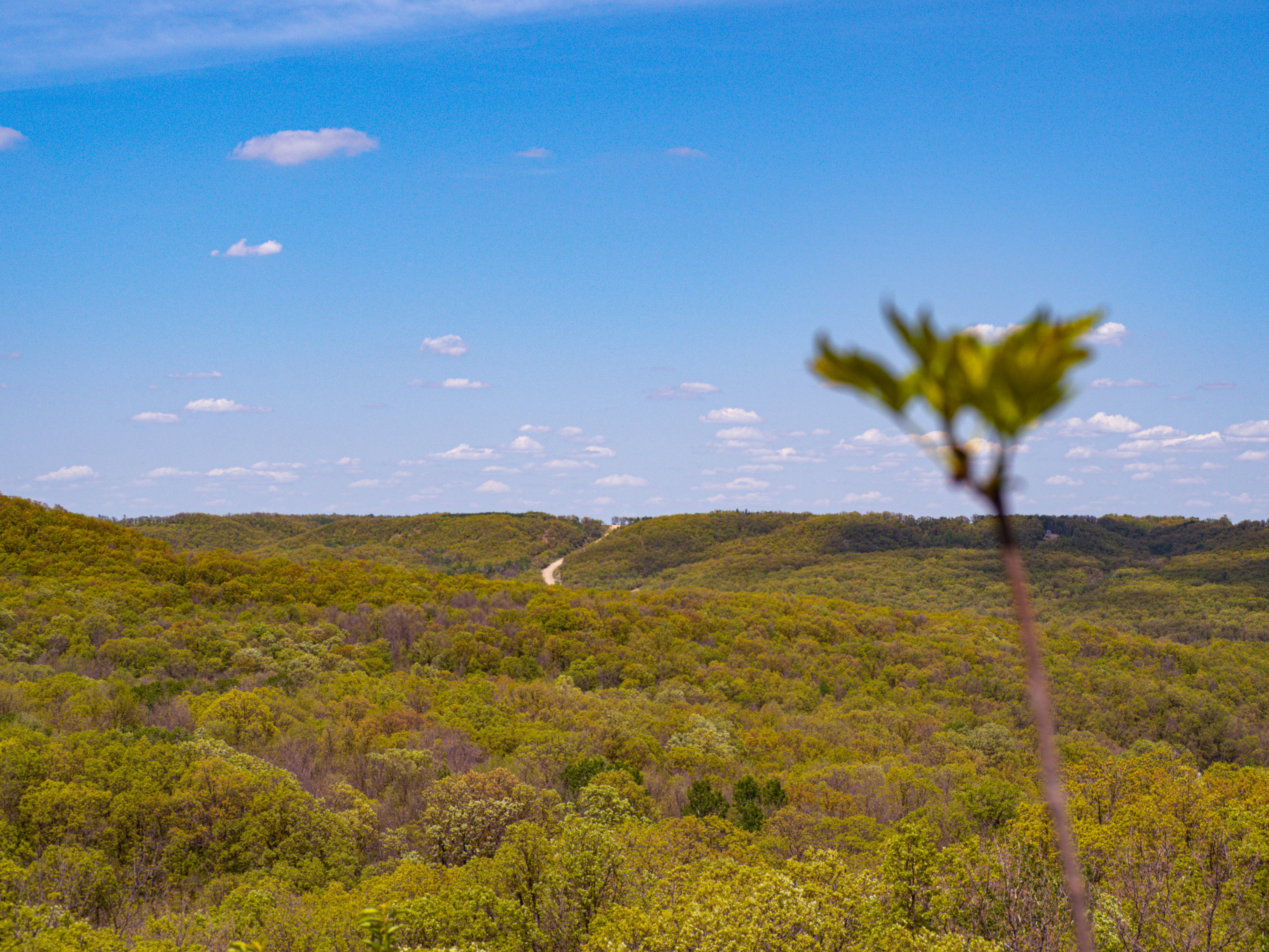 A vibrant green landscape stretches towards the horizon under a clear blue sky, with a blurred foreground element adding depth to the scene.