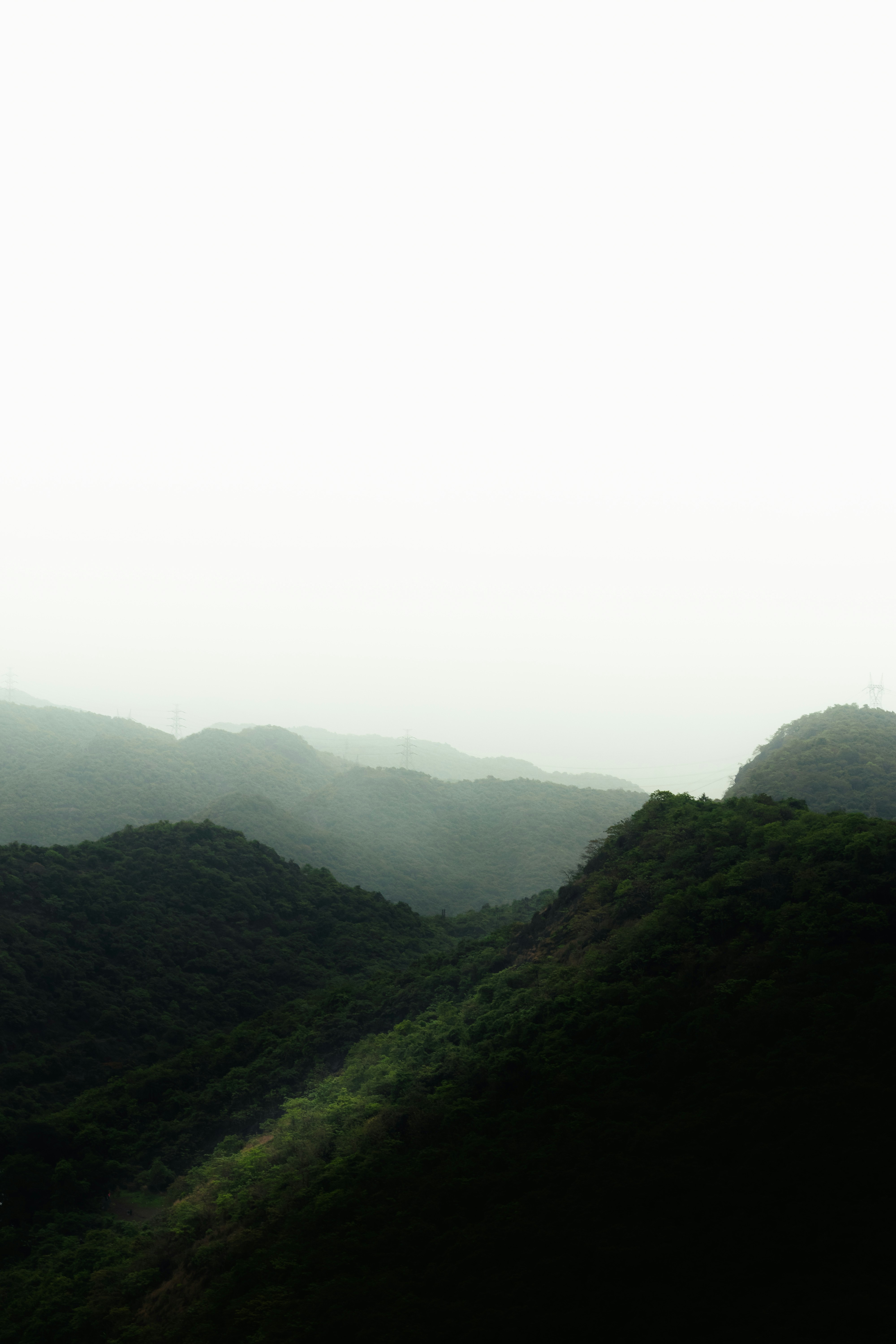 Lush green hills shrouded in mist, creating a serene atmosphere in the landscape. The gradual transition from vibrant foliage to a foggy horizon adds depth to the scene.