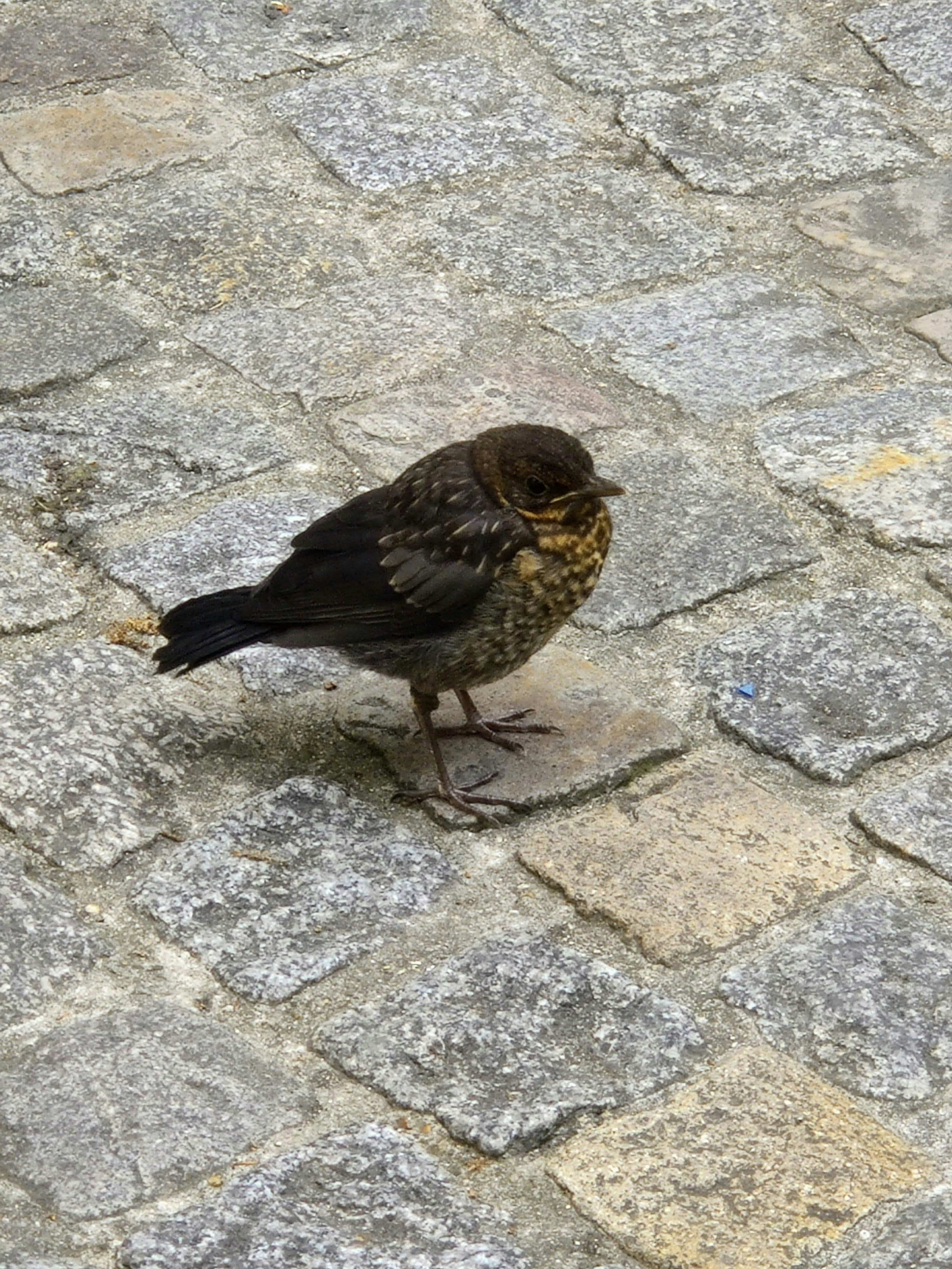 David R Pariente (@david_r_pariente) | Communauté photos Unsplash