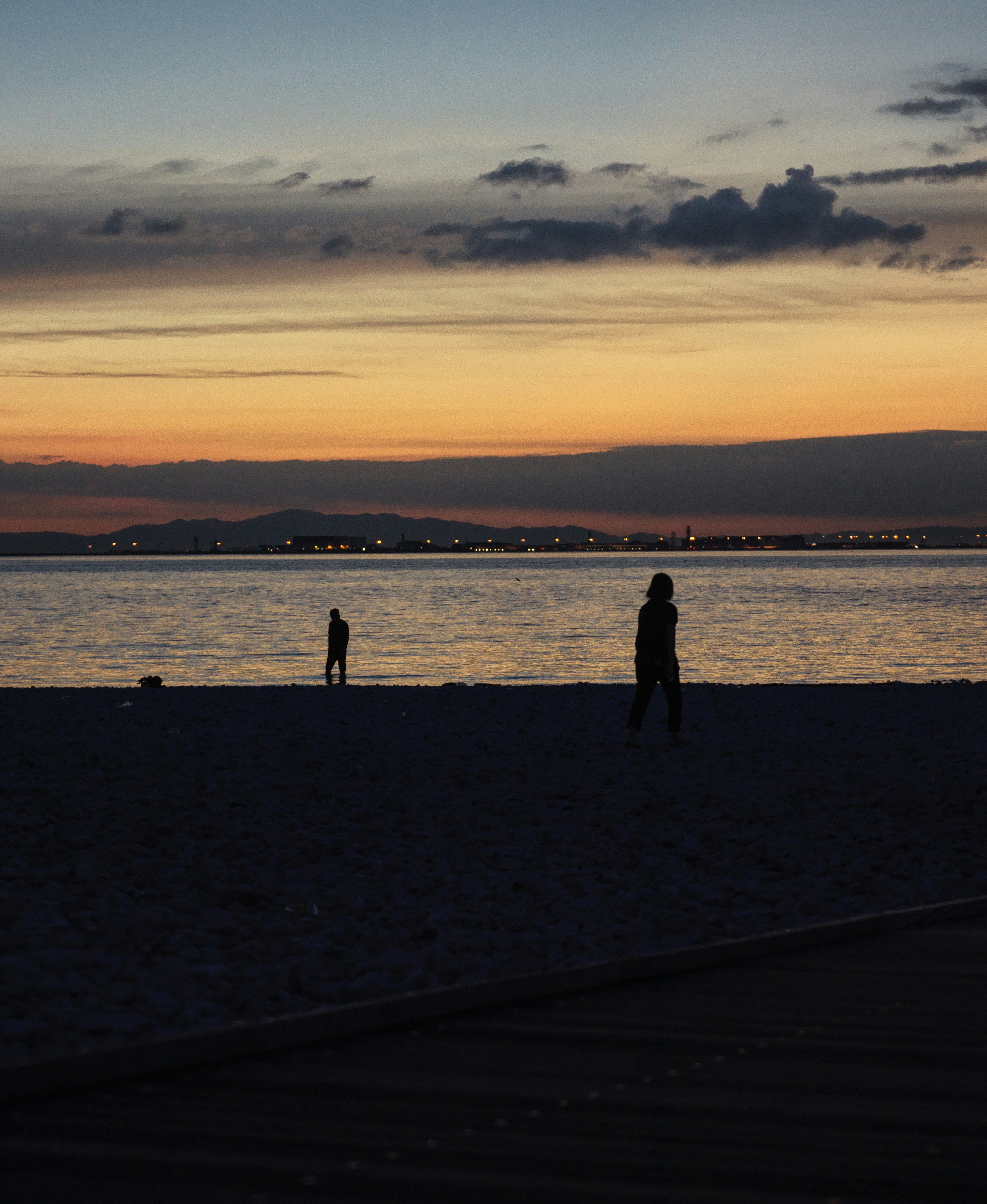 Two Silhouettes at Dusk: A Quiet Beach Under a Velvet Sunset