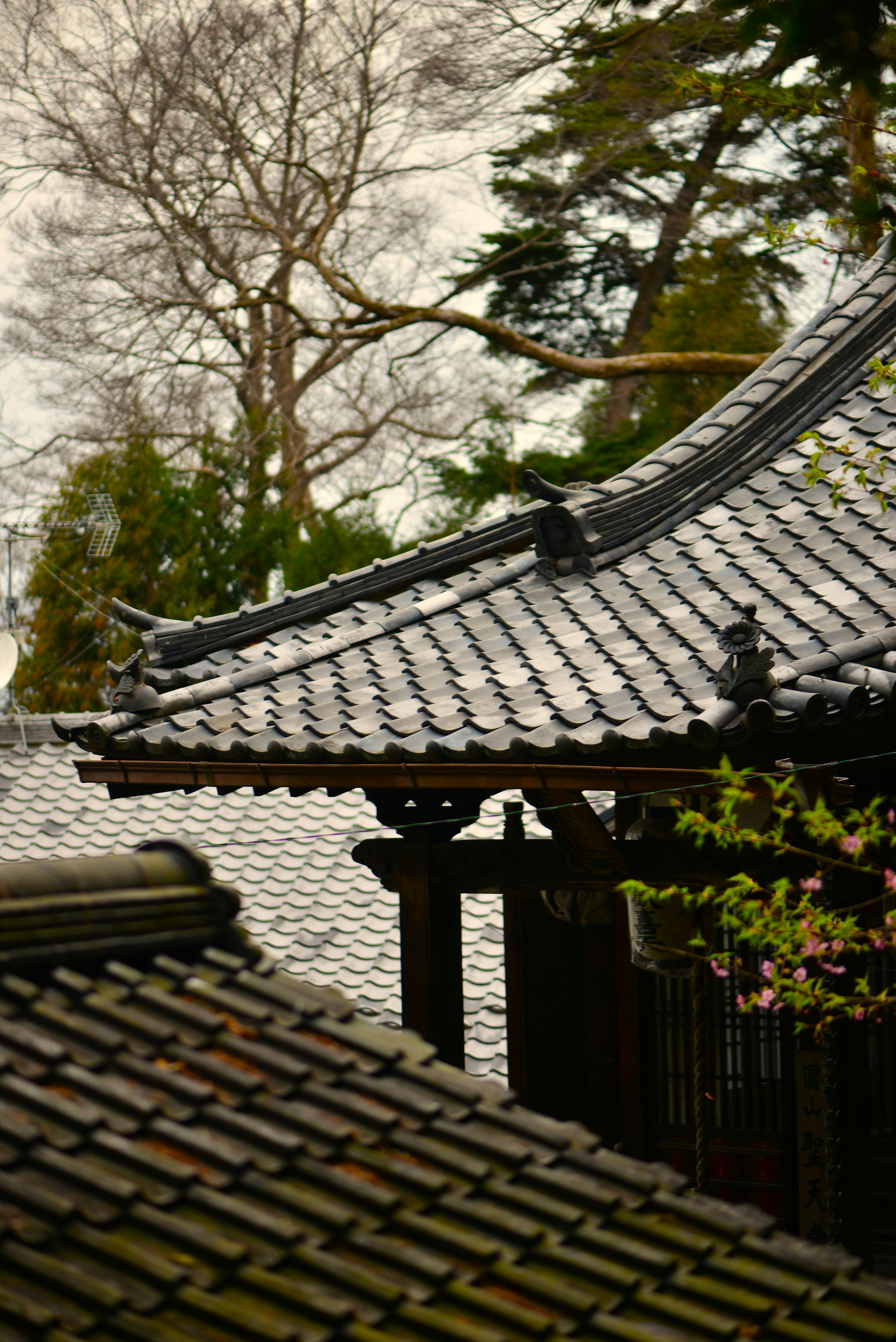 Intricate rooftops of traditional Japanese architecture framed by delicate branches and foliage. A serene blend of nature and craftsmanship.