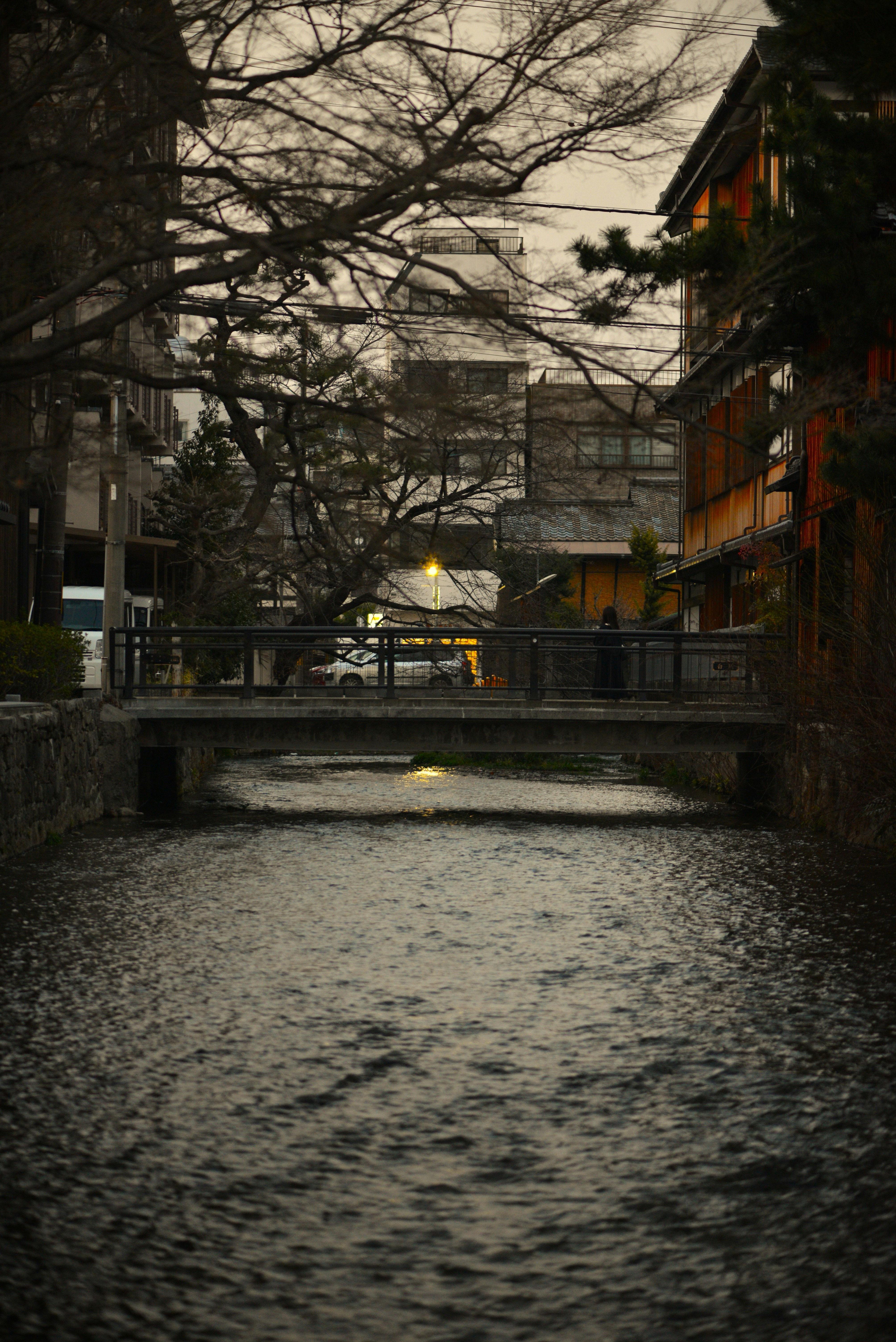 Lamplit Crossing: A Quiet City Canal at Dusk