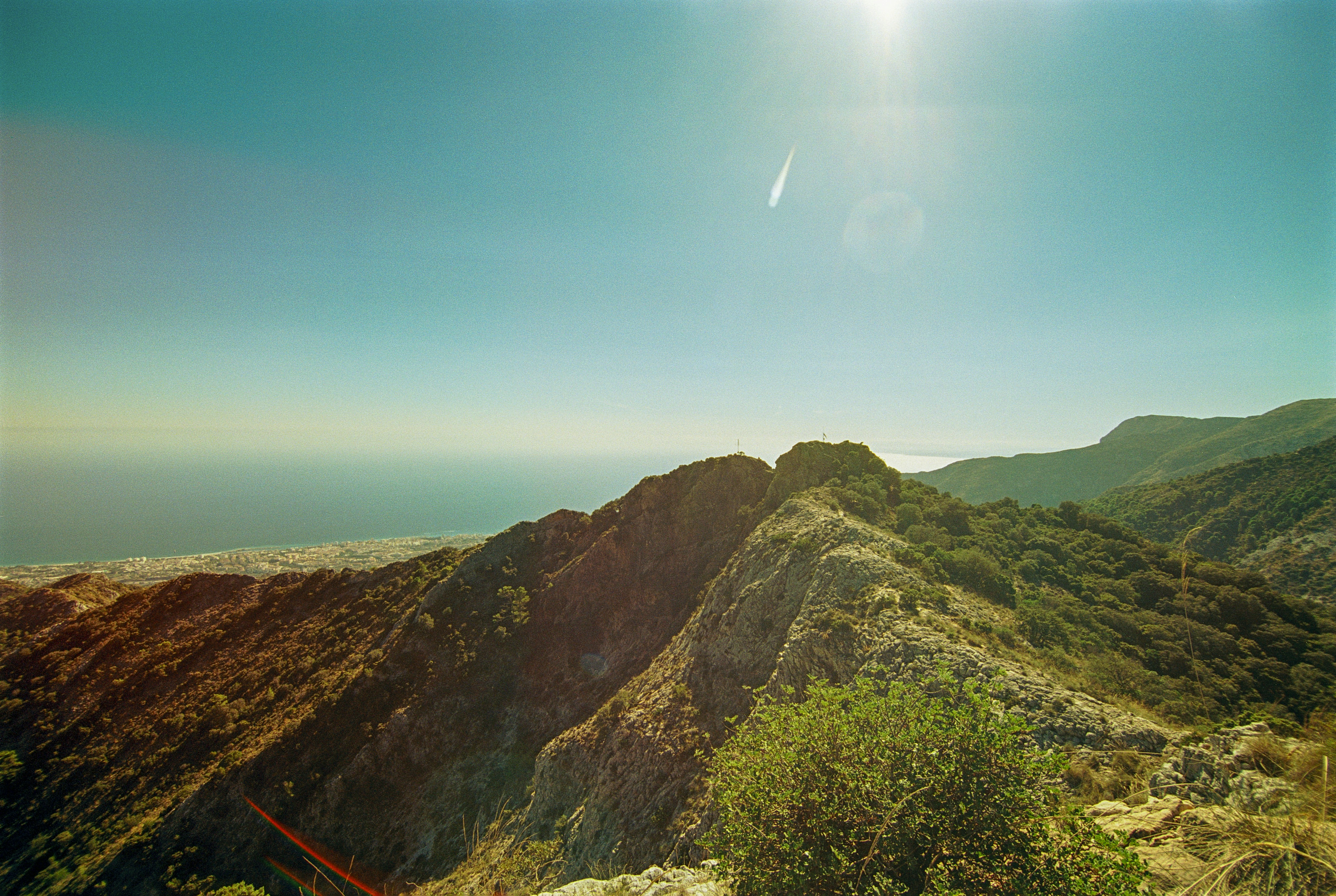 Photo by Artists Eyes with Plustek OpticFilm 8200i