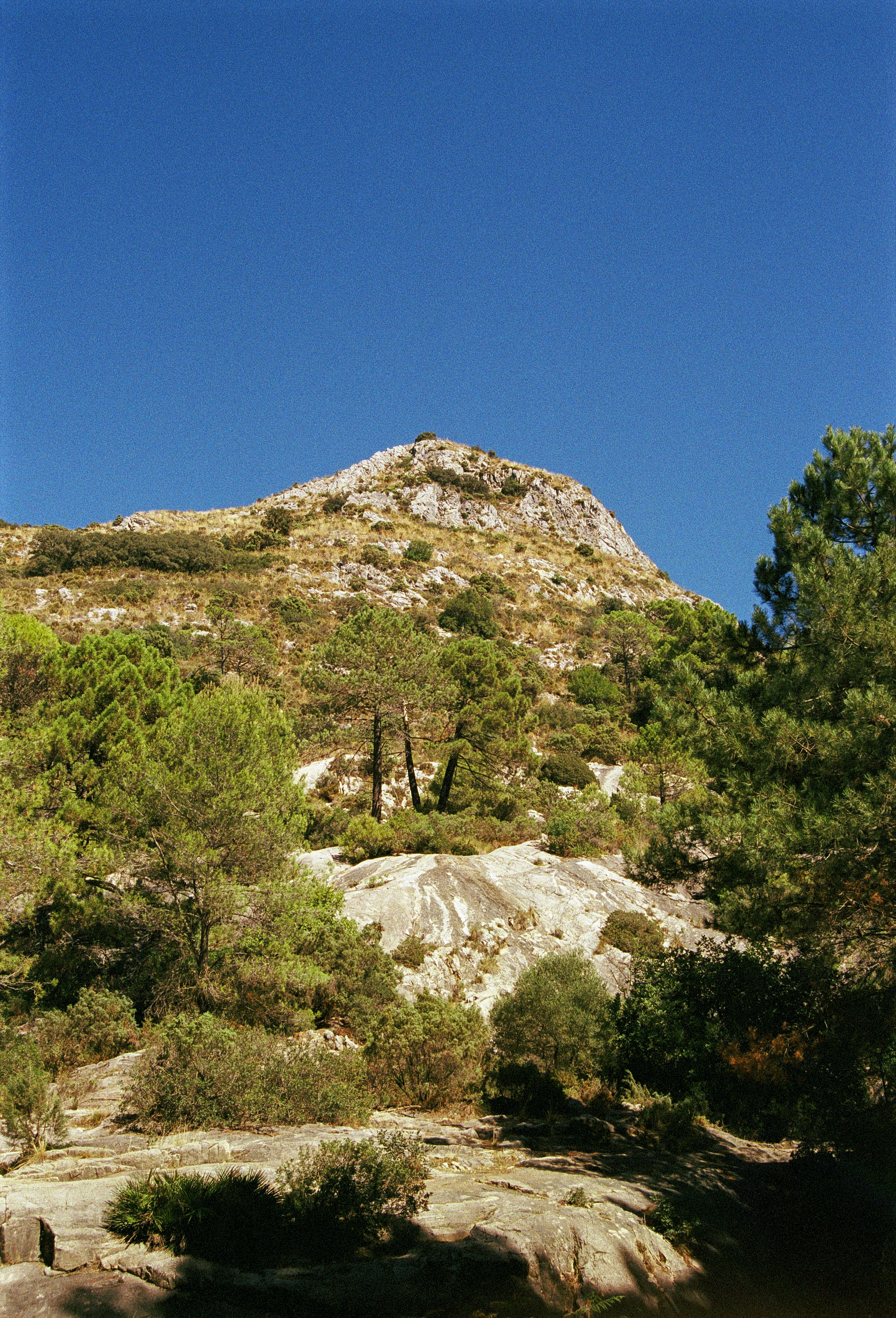 The Silent Watcher: A Mountain's Embrace