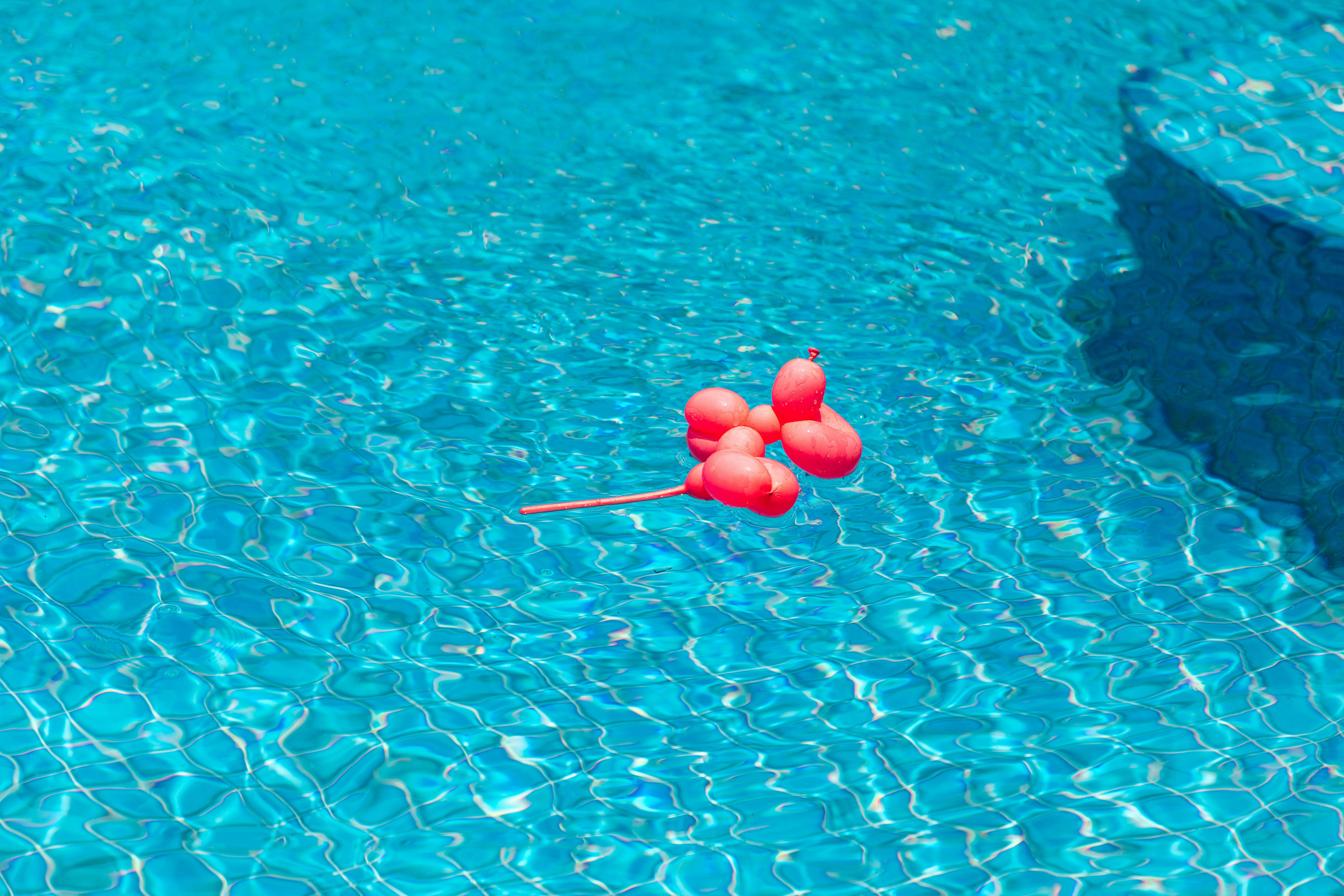 Red balloons float on the surface of water.