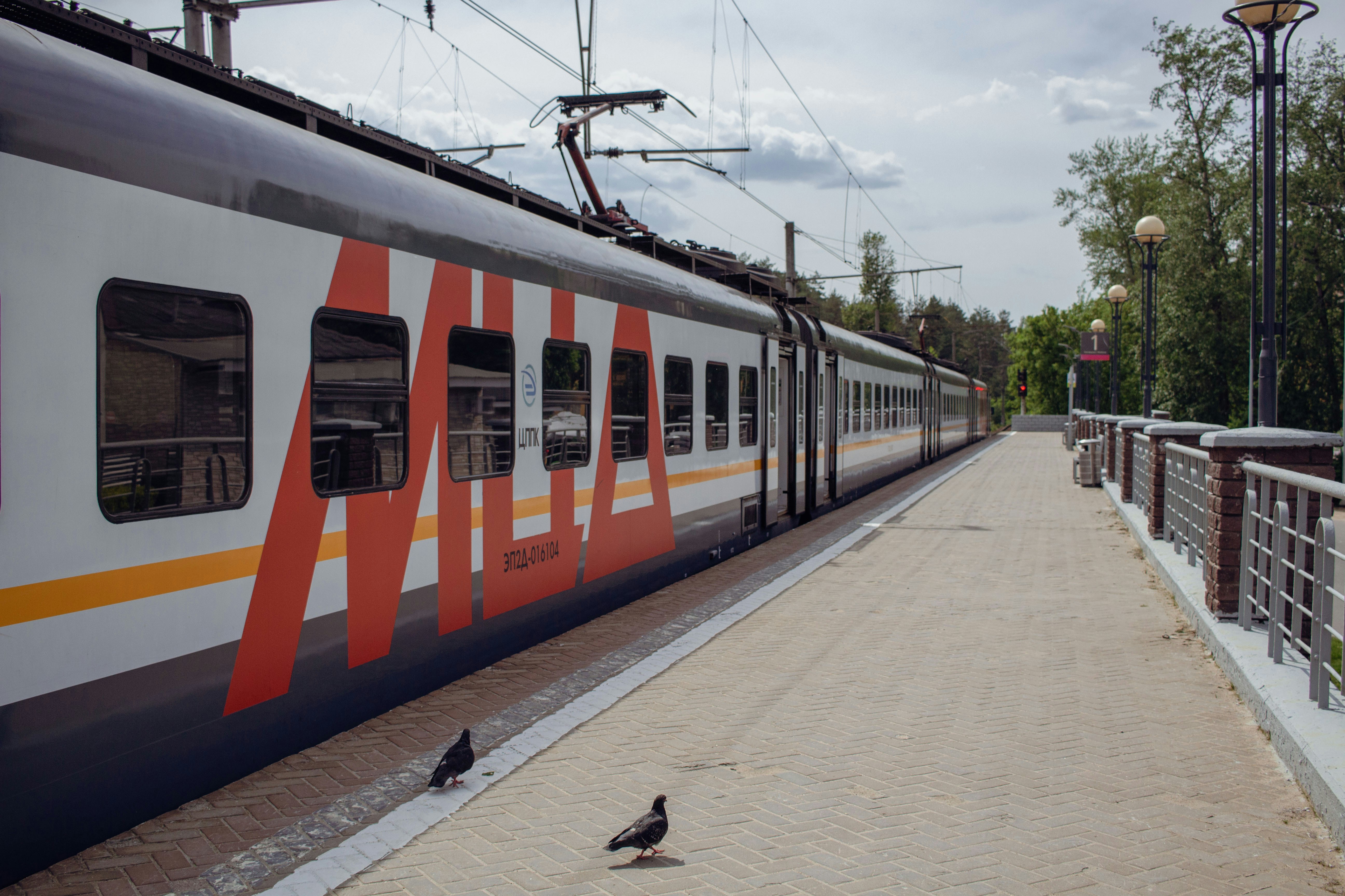 Urban Transit Harmony: A Train's Journey Amidst Nature