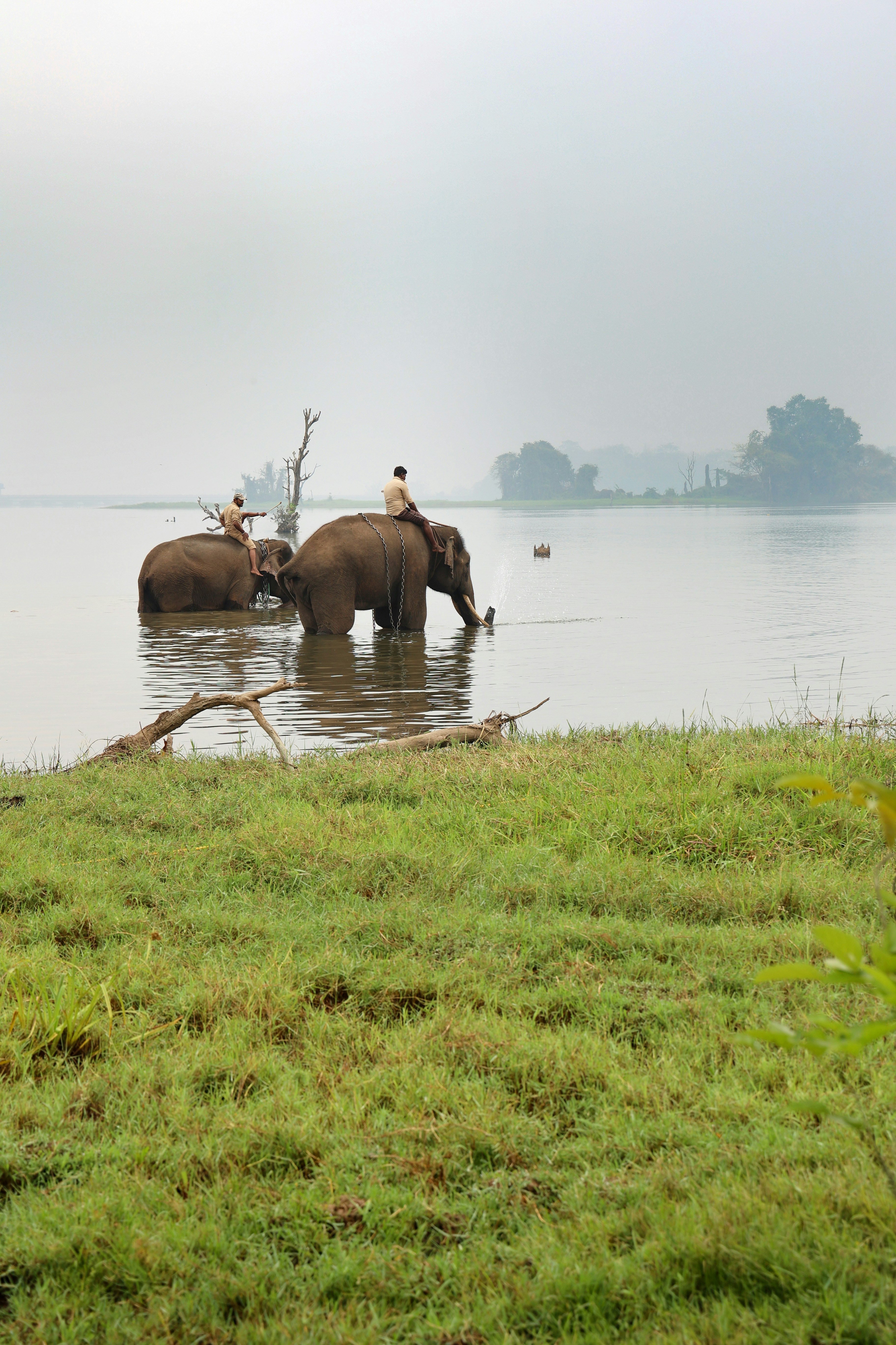 Photo by Pavan Naik with Canon EOS R6