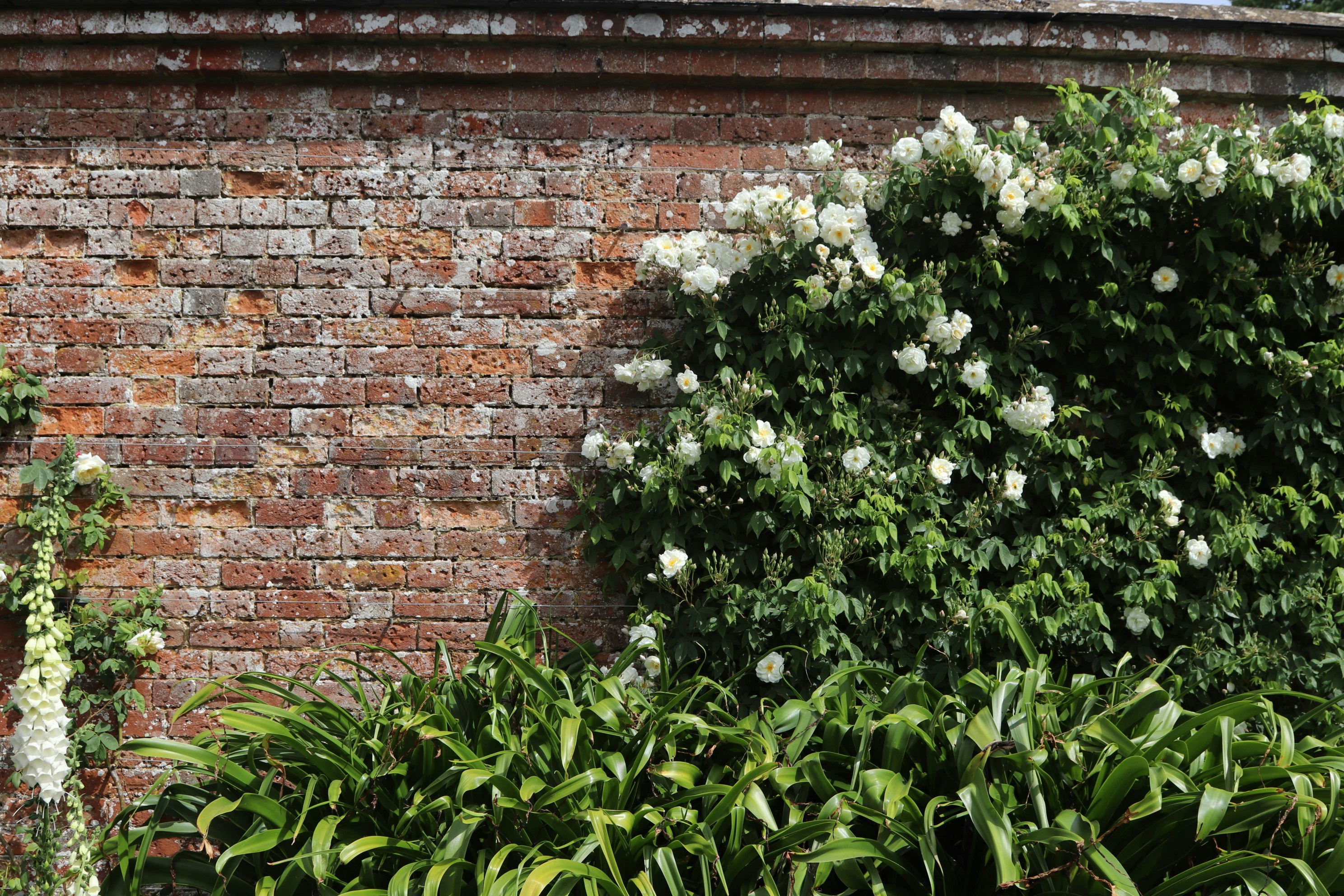 Photo by Tanya Barrow with Canon EOS 77D