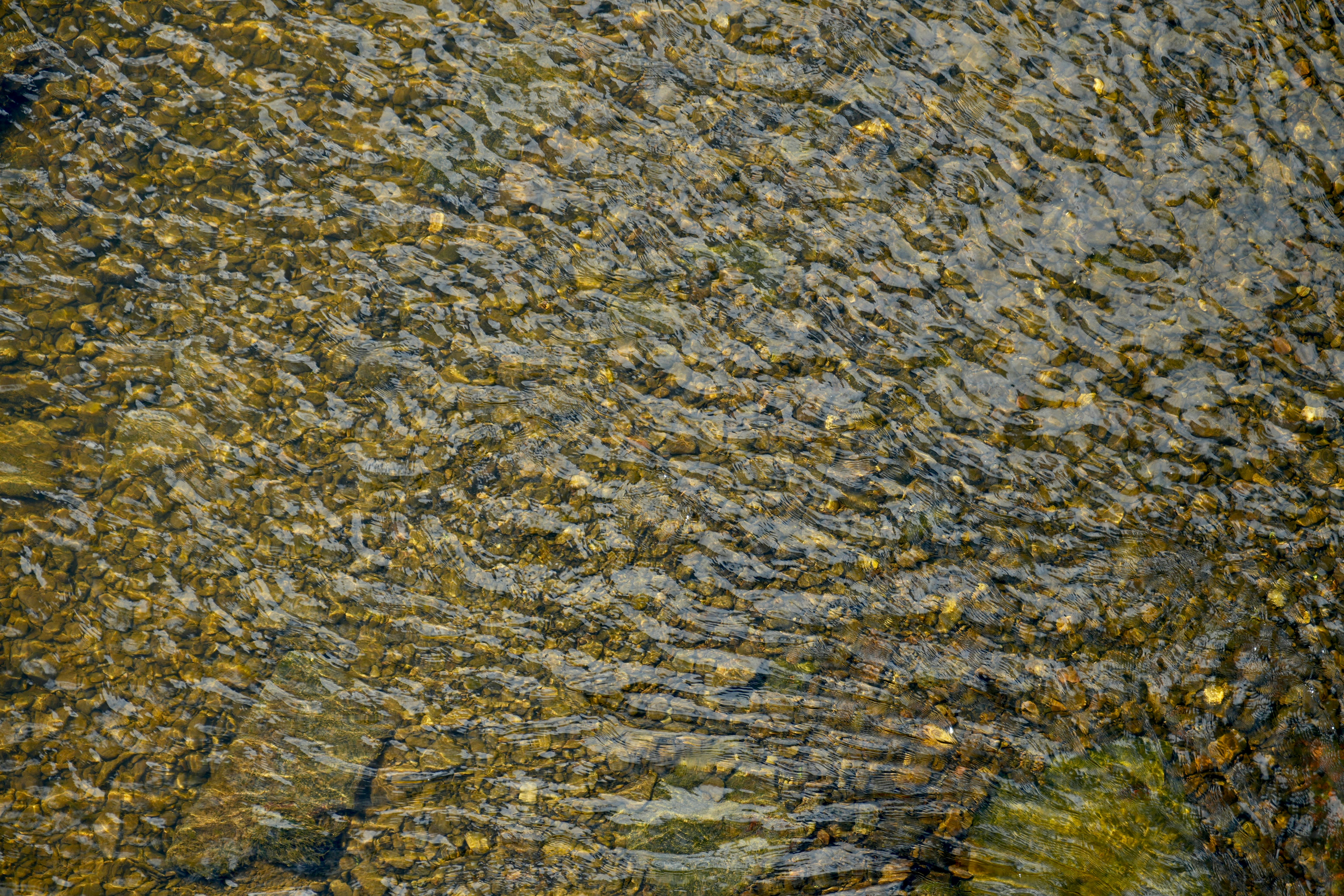 Ripples of Time: The Dance of Water and Light