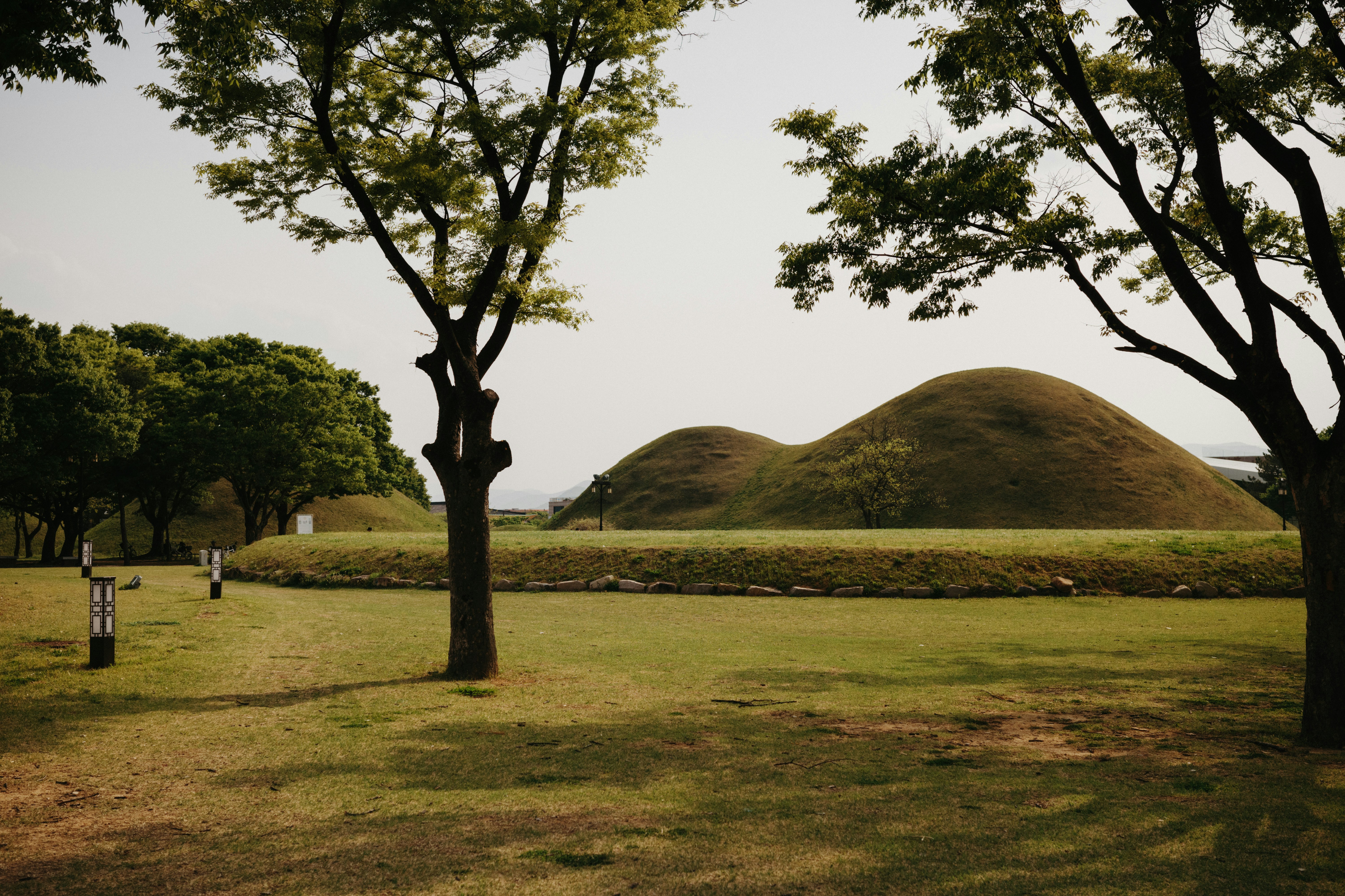 Mounds of earth in a green park.