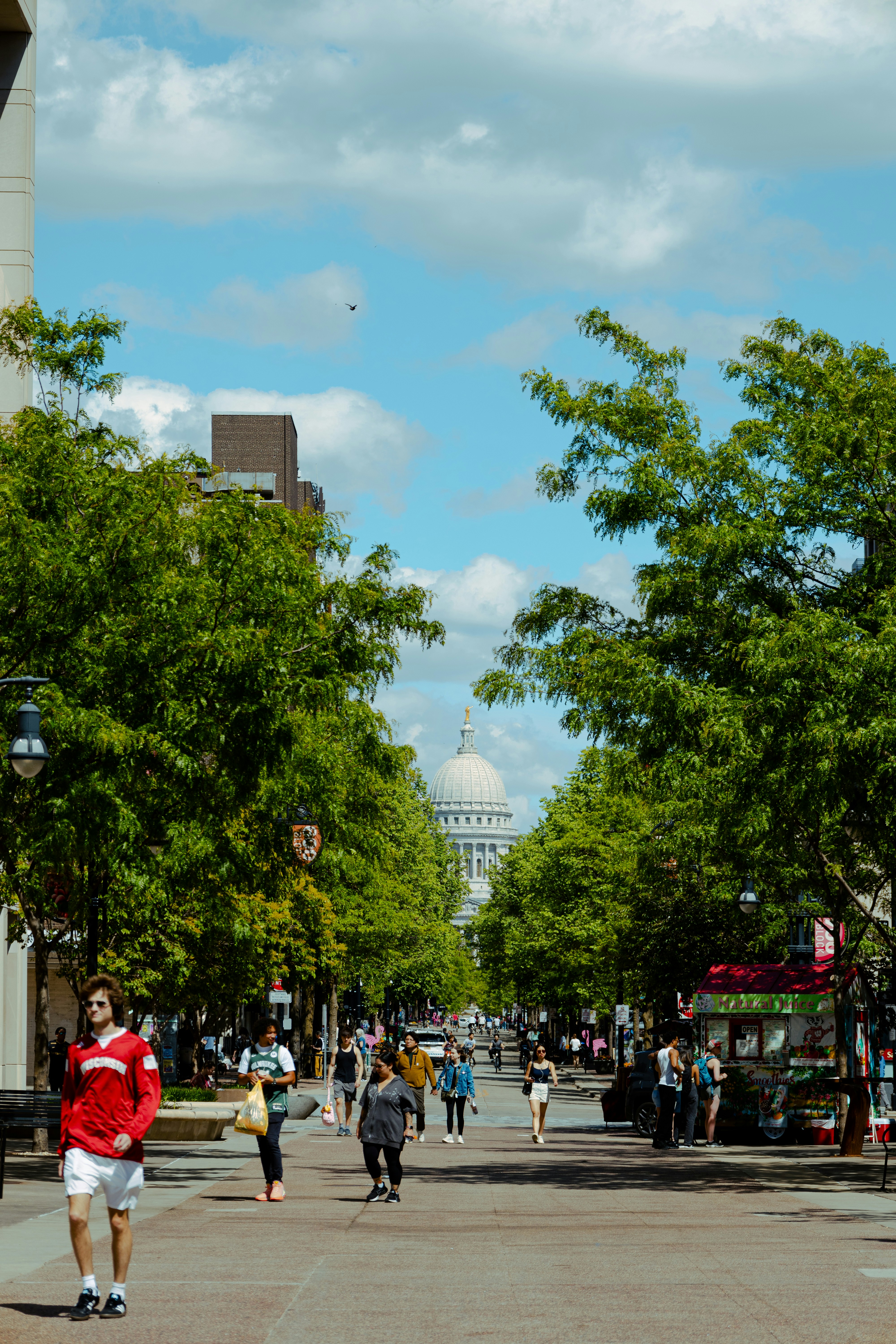 Capitol in the Park: Street View Toward a Civic Dome