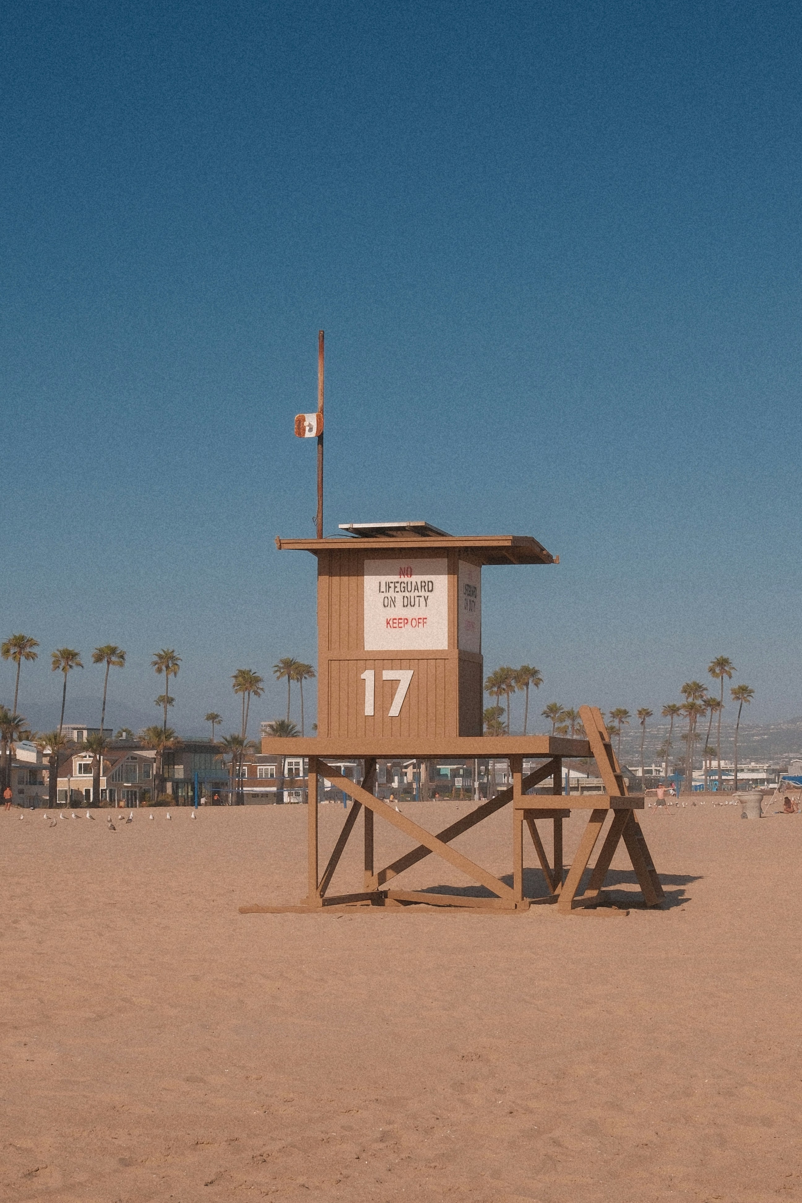 Number 17: A Quiet Sentinel on a Palm-Fringed Beach