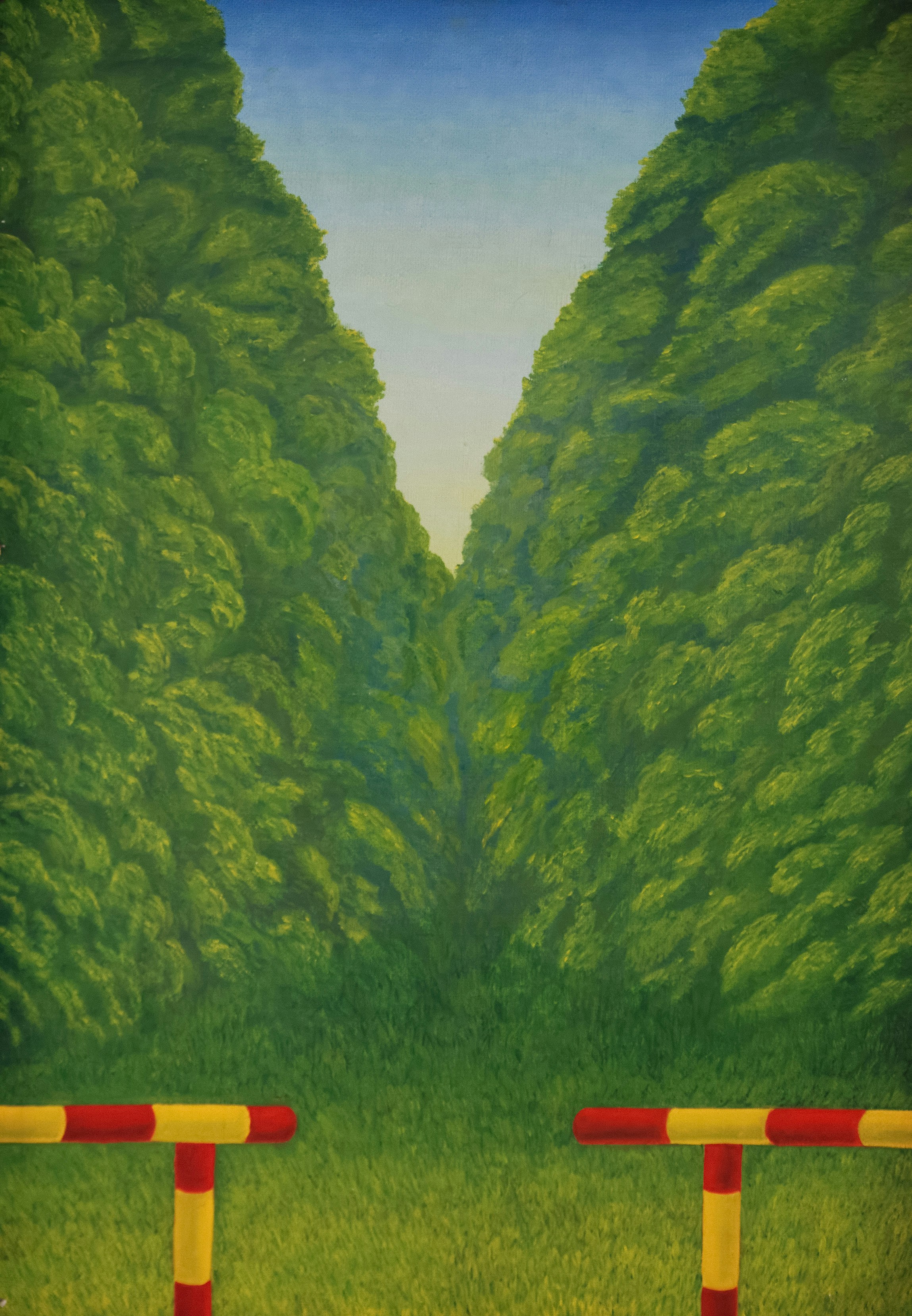 The Narrow Verge: A Sunlit Corridor Between Verdant Walls
