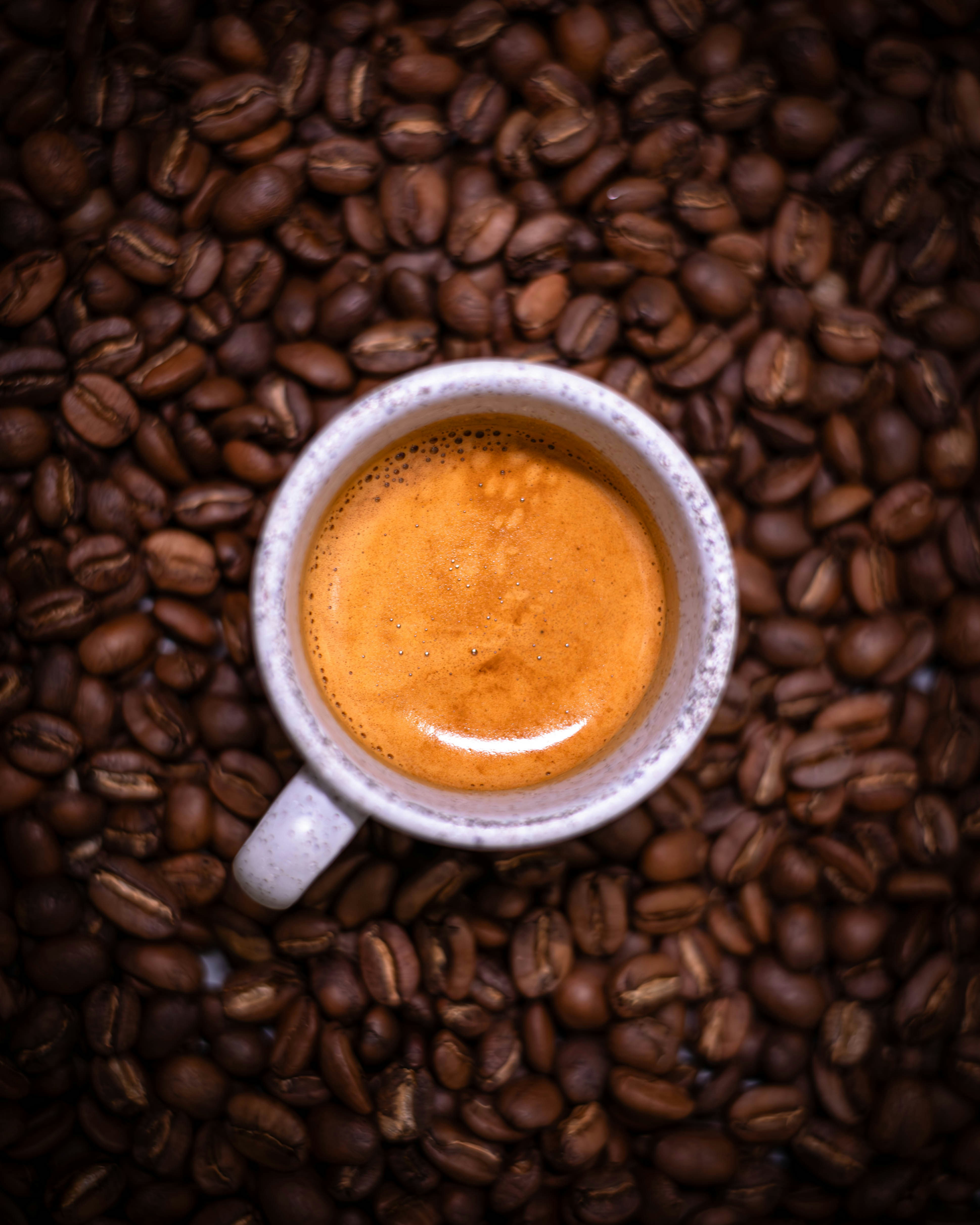 A freshly brewed cup of espresso rests atop a bed of roasted coffee beans, showcasing rich textures and colors.