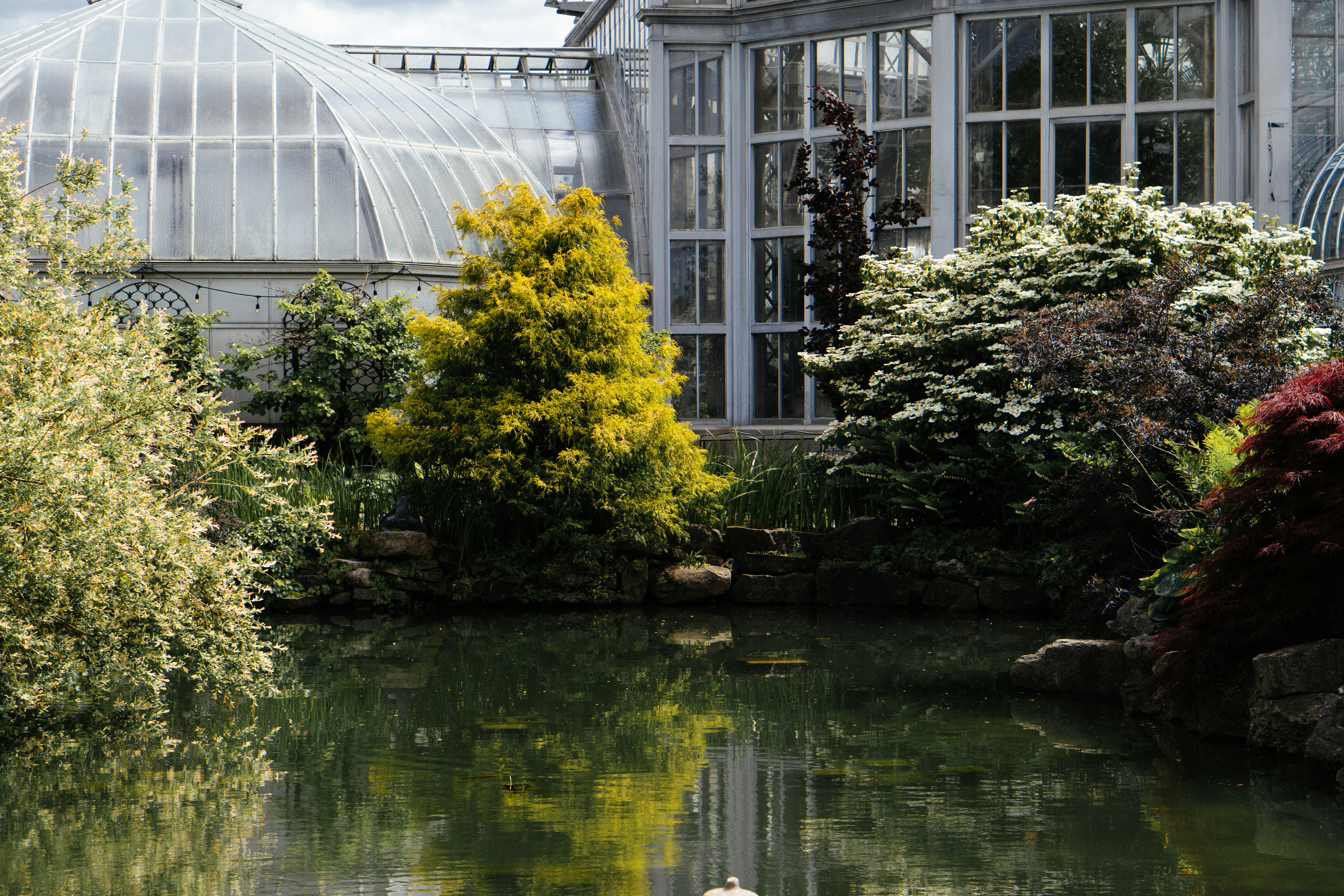 Photo by Maryam Tello with Sony Alpha 6400