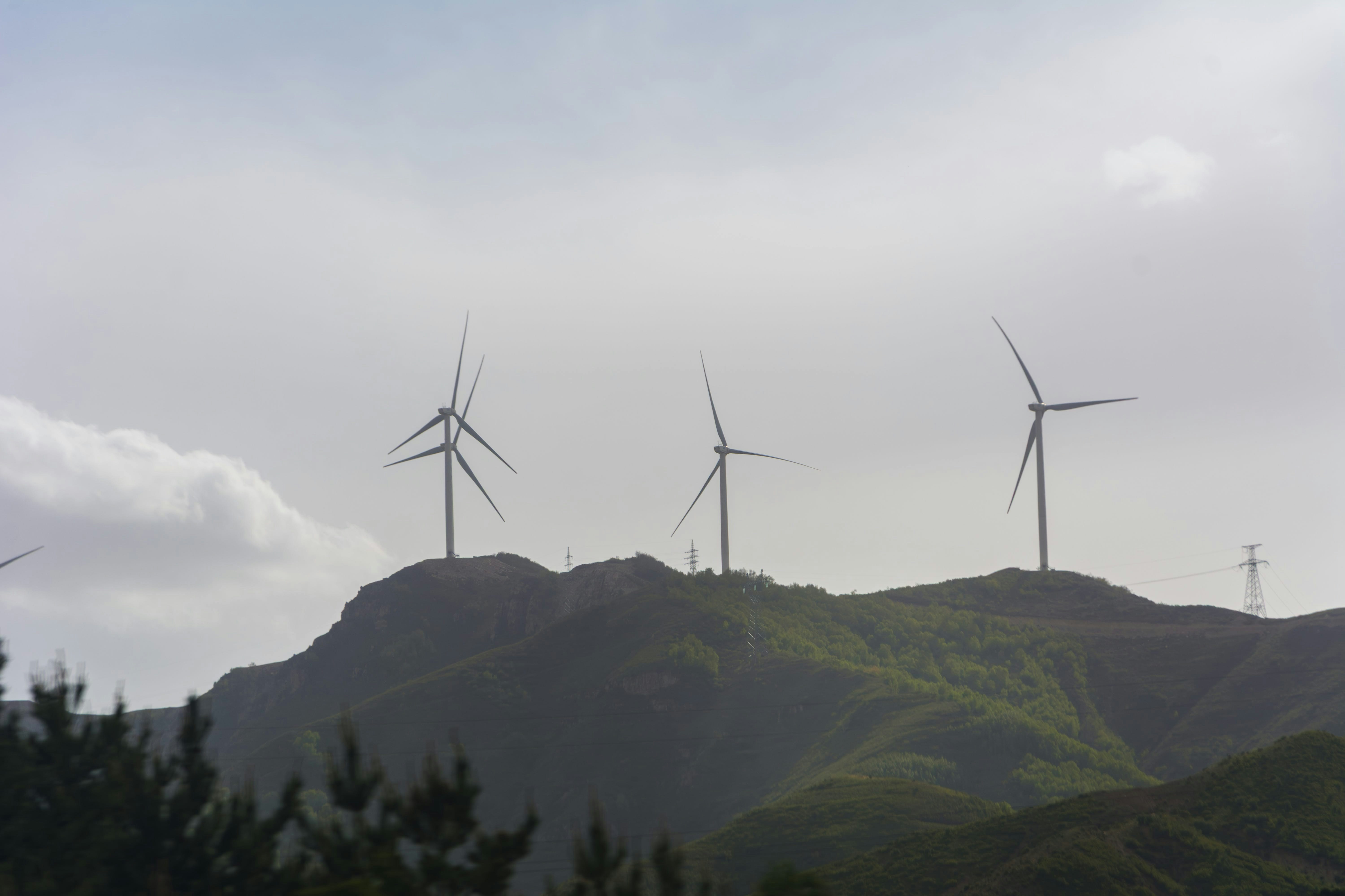 Harnessing Nature's Breath