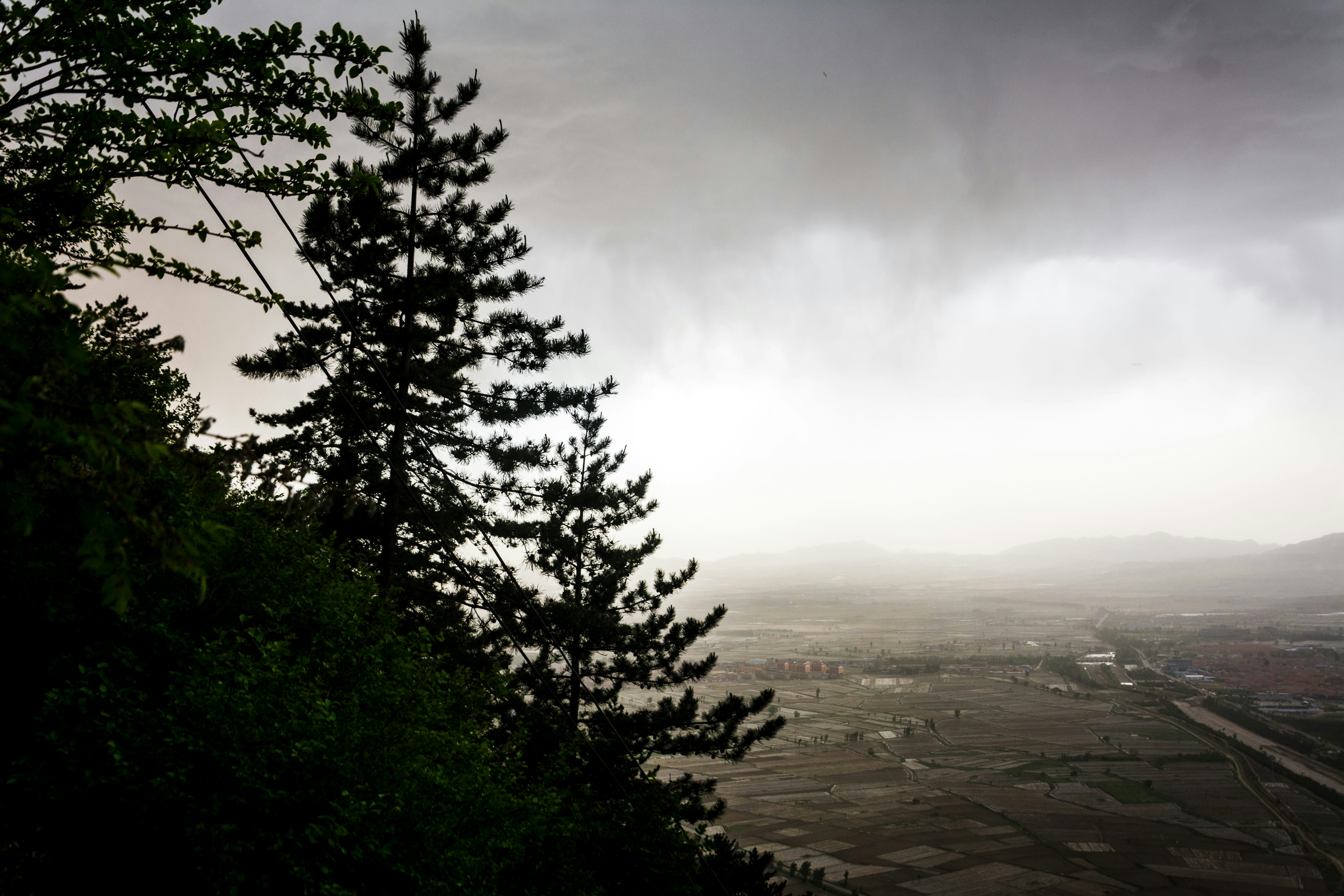 Whispers of an Approaching Storm