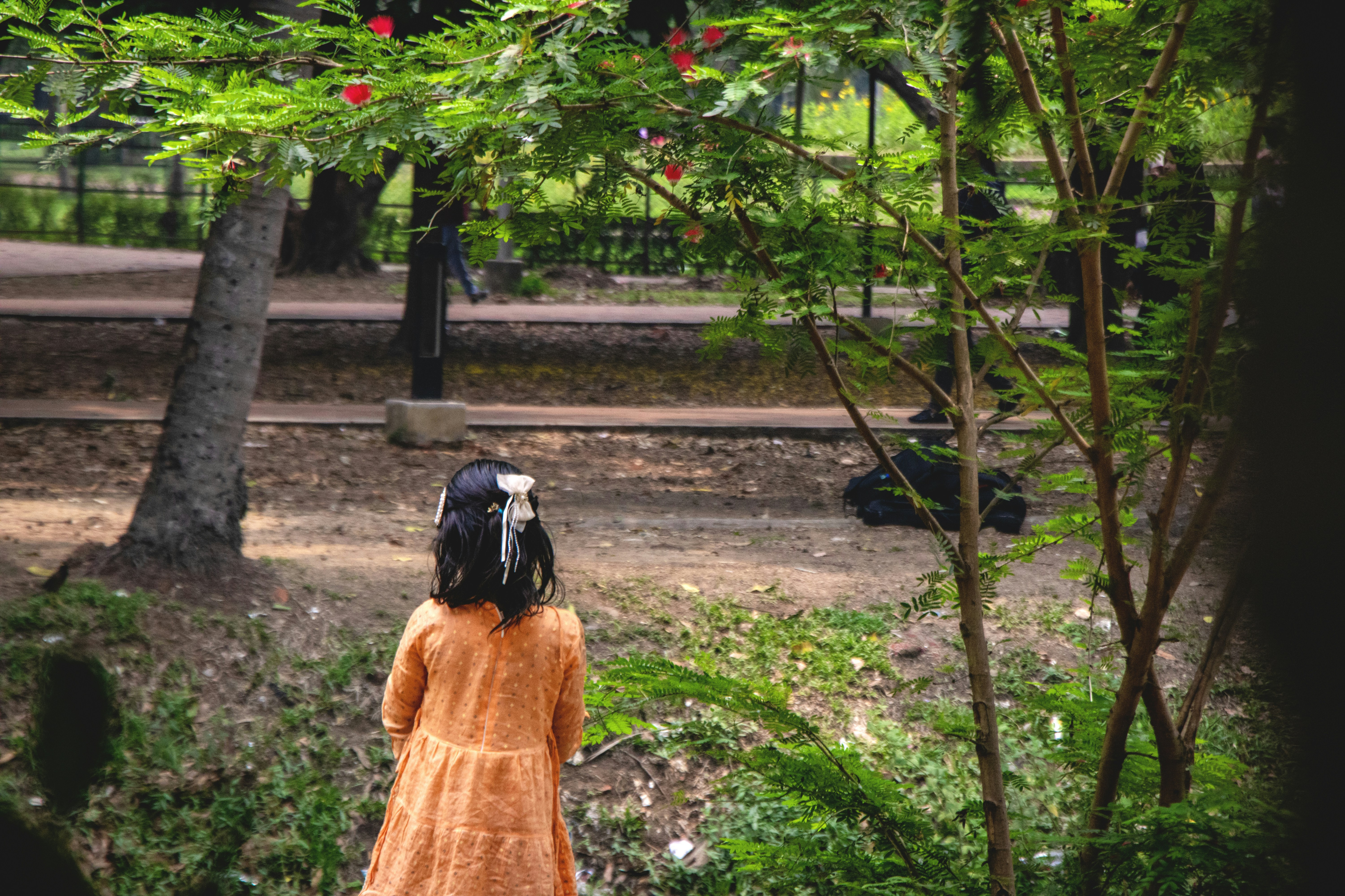 The Quiet Path: An Orange-Dressed Figure in a Green Park