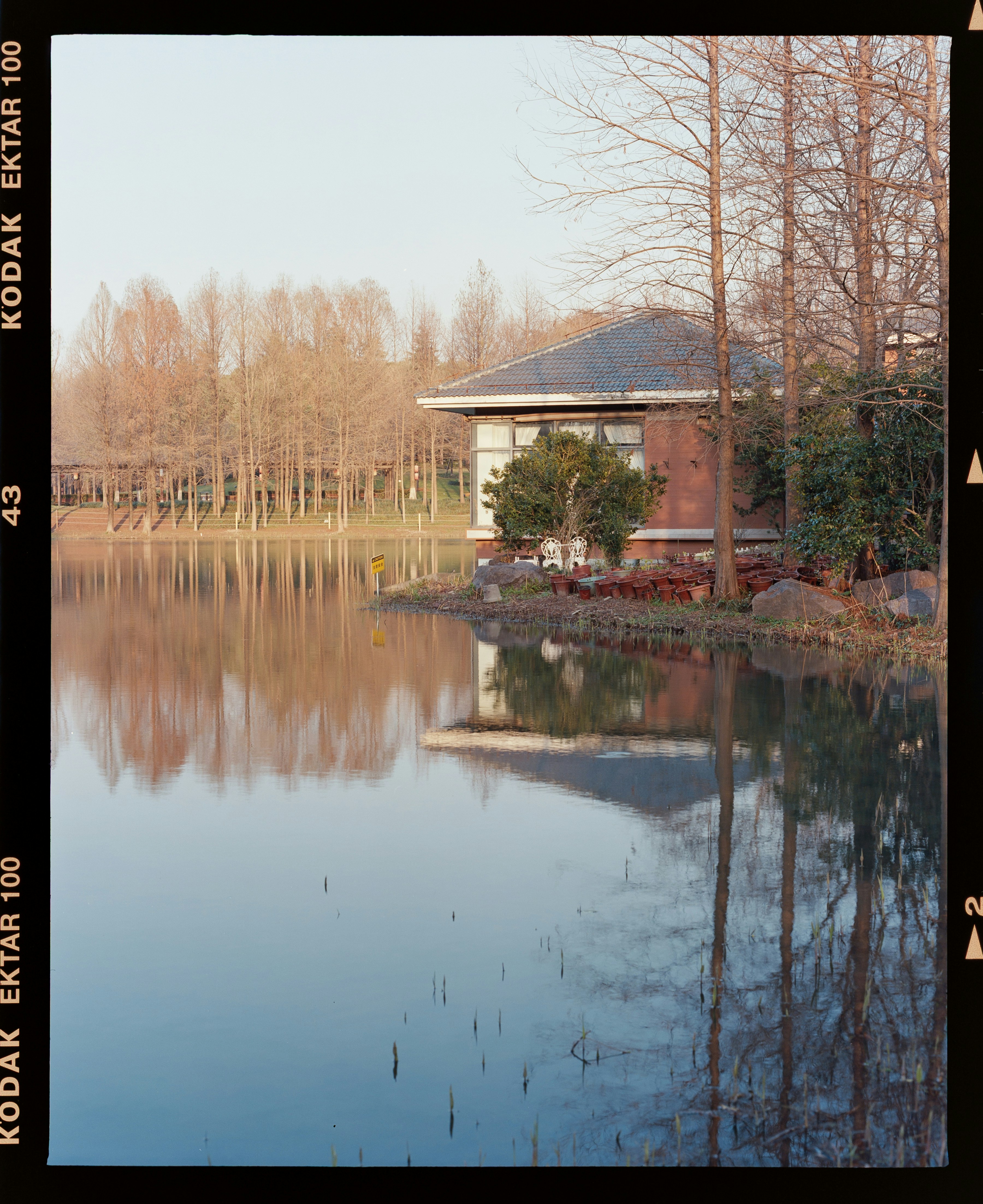 🎞️ Kodak Ektar 100｜🧪 Fuji Hunt C-41｜🖨️ EOS R6 + RF 100mm f/2.8L Macro｜📷 Pentax 67 + SMC Pentax 67 105mm 1:2.4