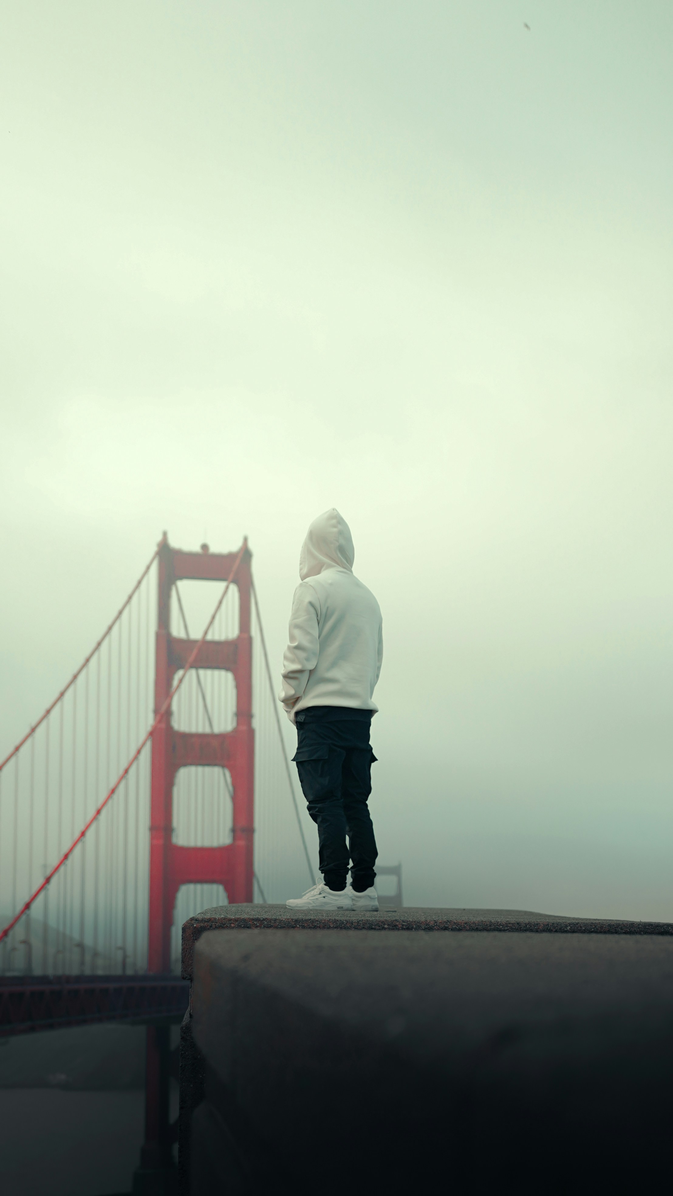 Child standing on the edge of a ledge, gazing at the Golden Gate Bridge amidst a foggy backdrop.