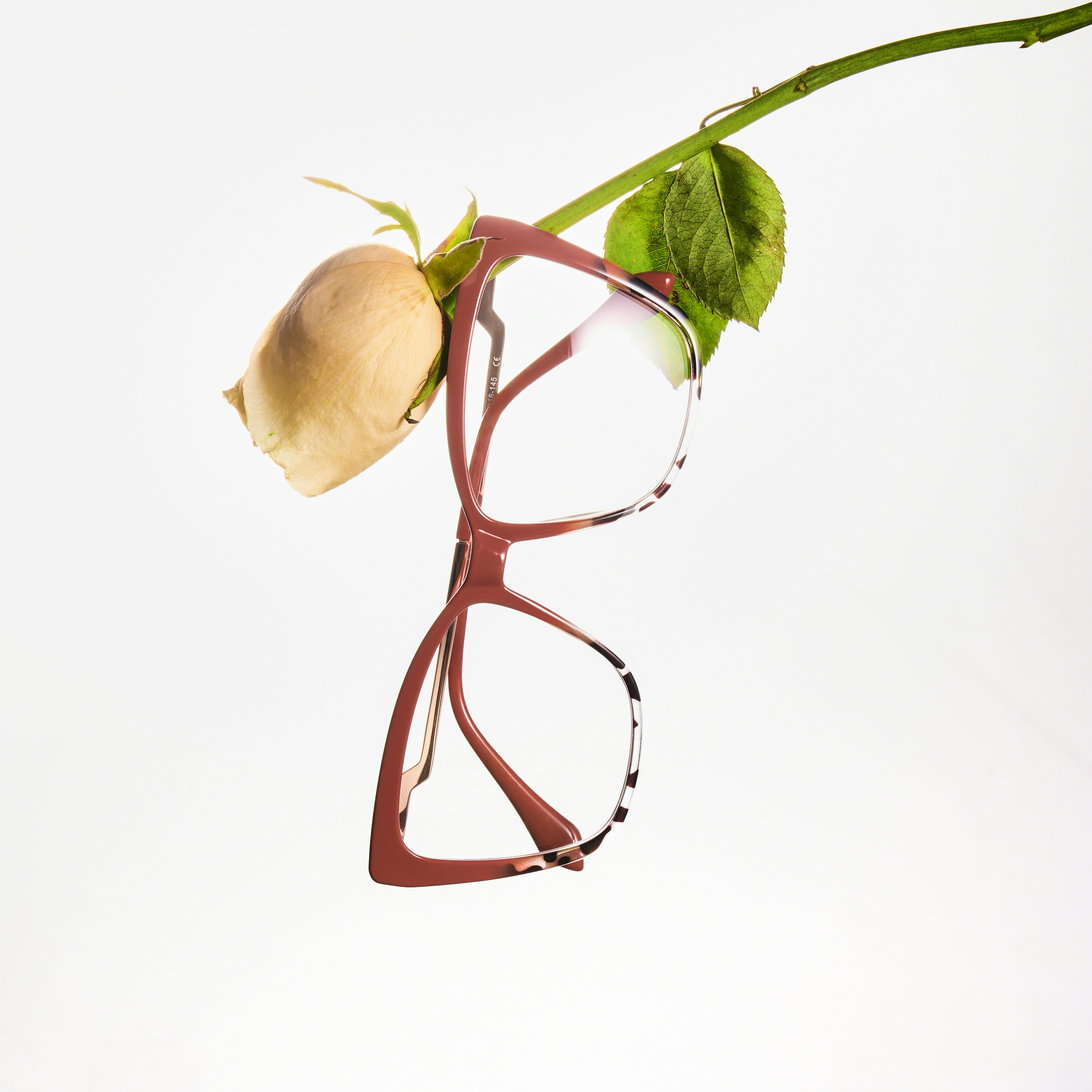 Redemption in Bloom: A Glasses-Hung Rose