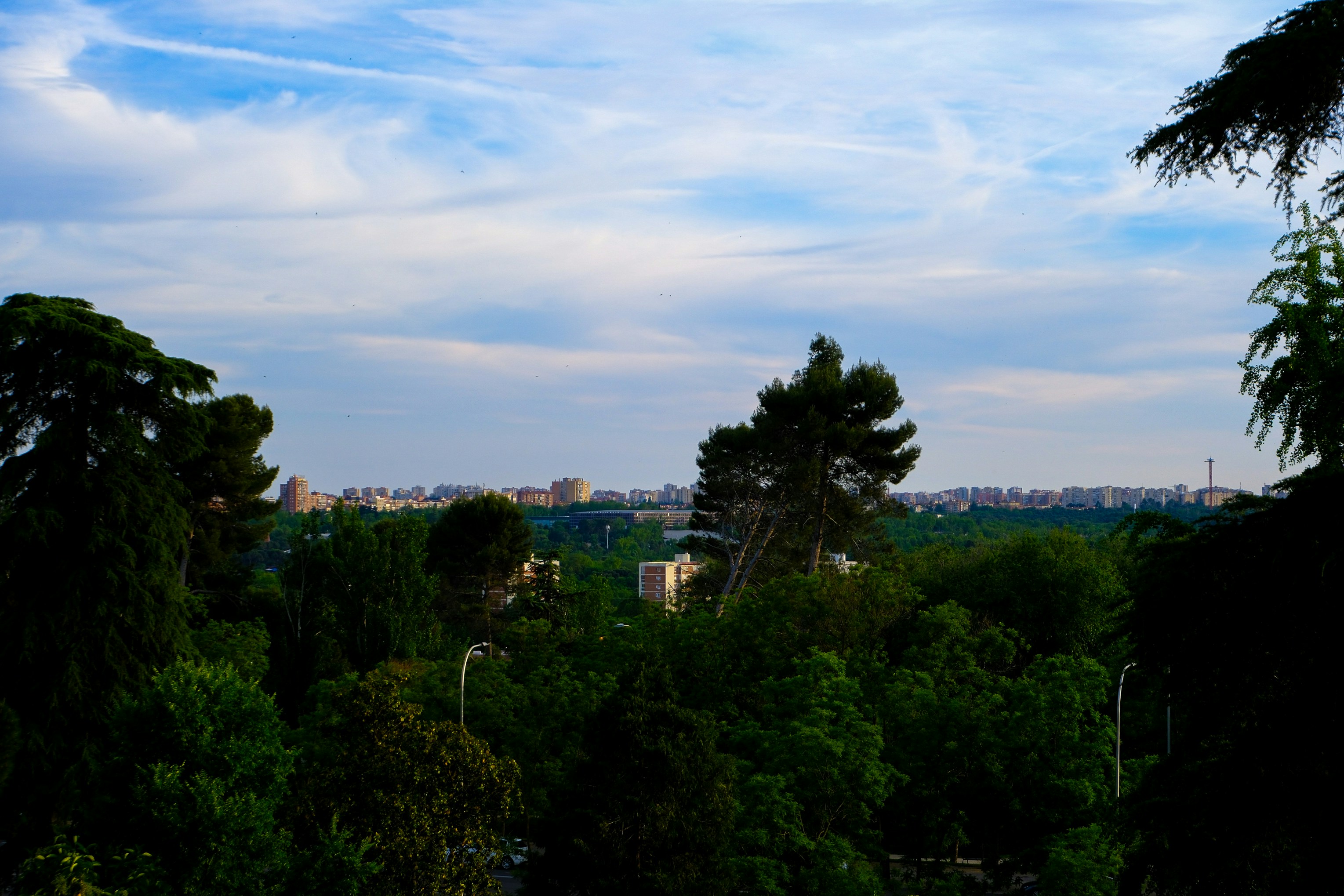 Lush greenery frames a distant urban skyline under a softly clouded sky. The image captures the balance between nature and city life.
